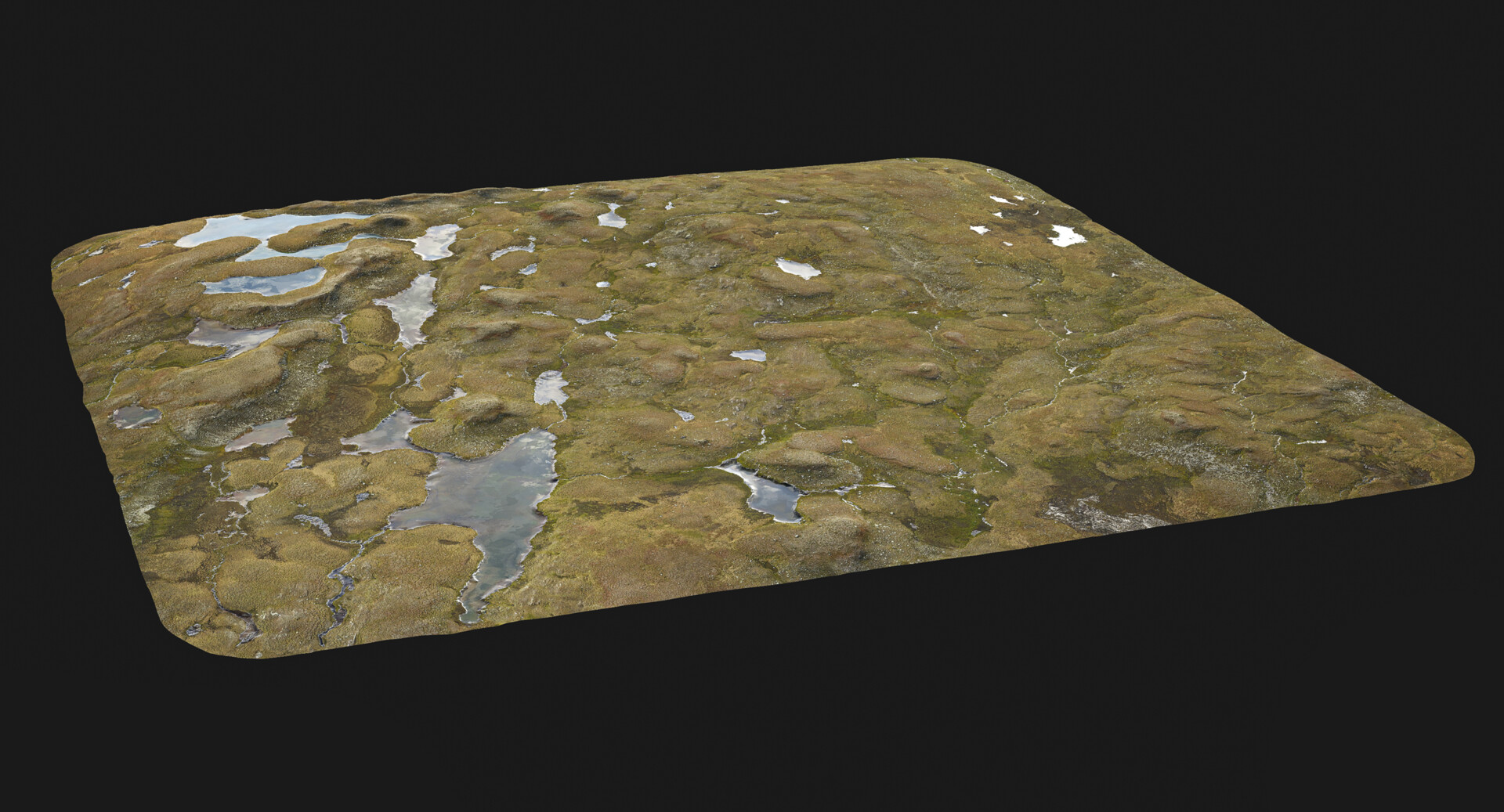 Belén Burgos - Megascans 3D Assets - Gigantic Tundra Terrain