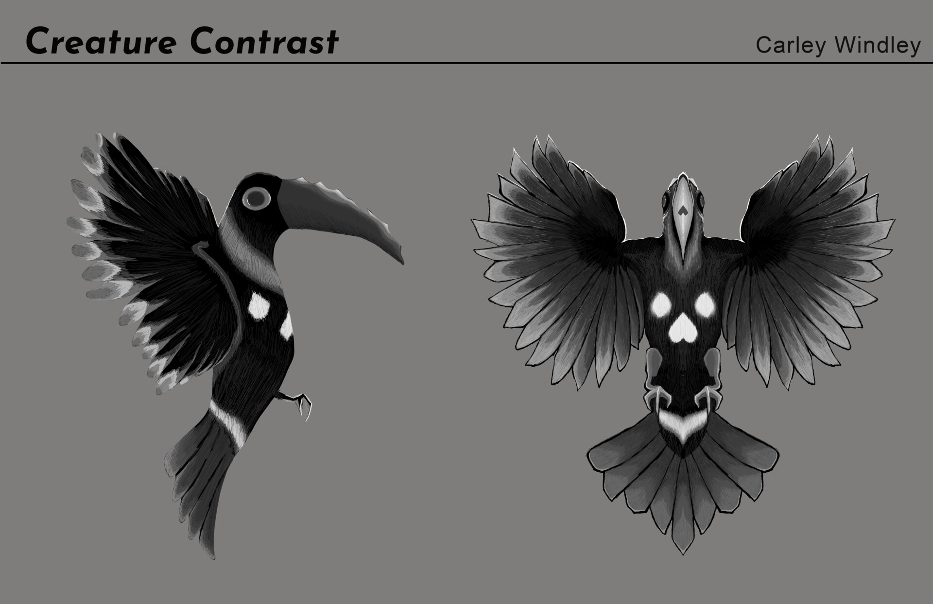 ArtStation - Plague Doctor Toucan Creature Concept