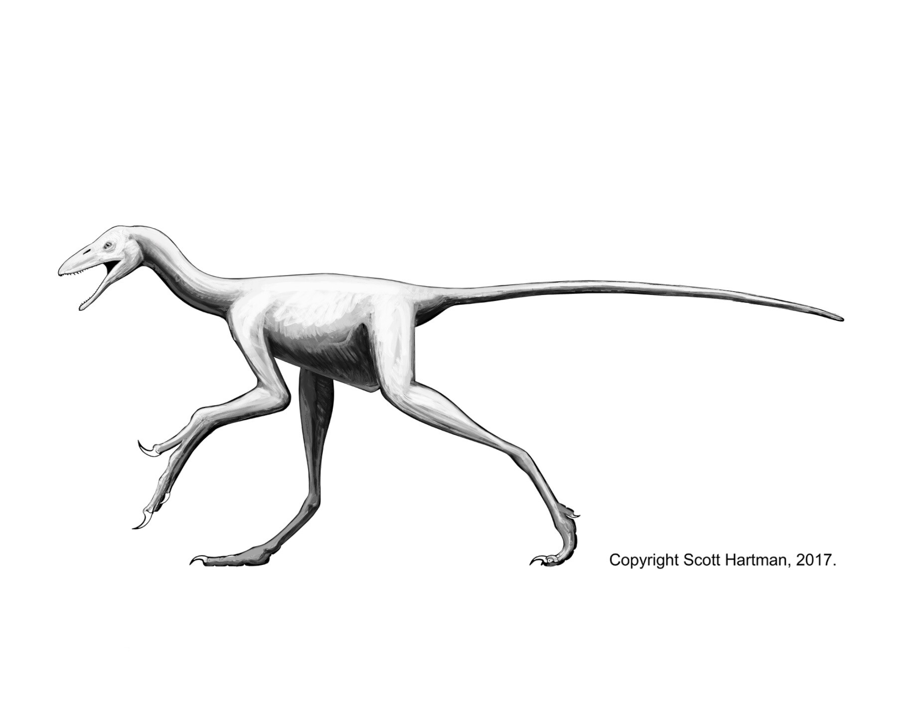 ArtStation - Dinosaur reconstruction