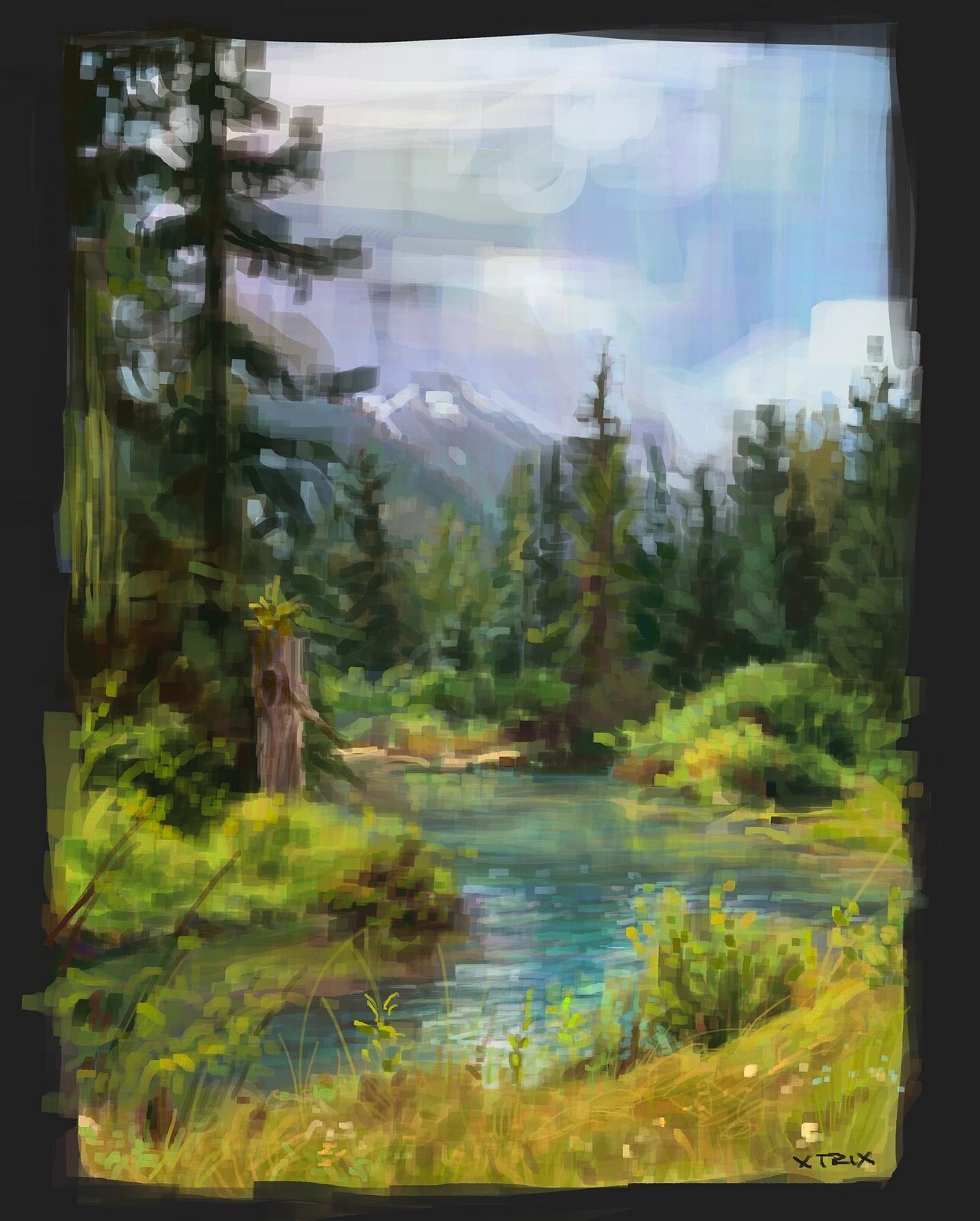 Aaric Liu - Landscape Study