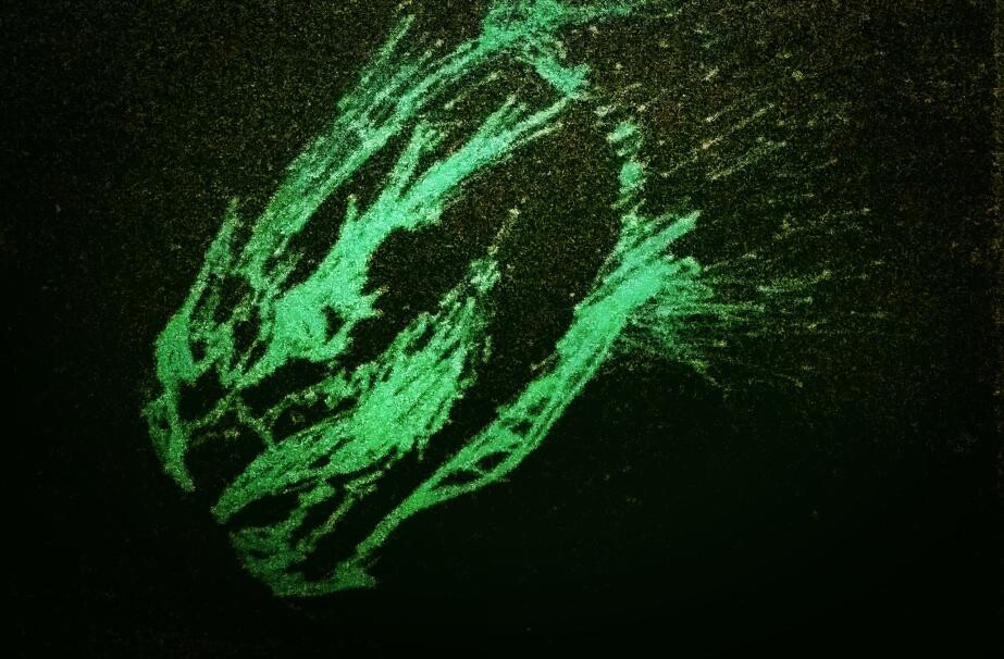 ArtStation - Chalk art Dragon + Phoenix concept