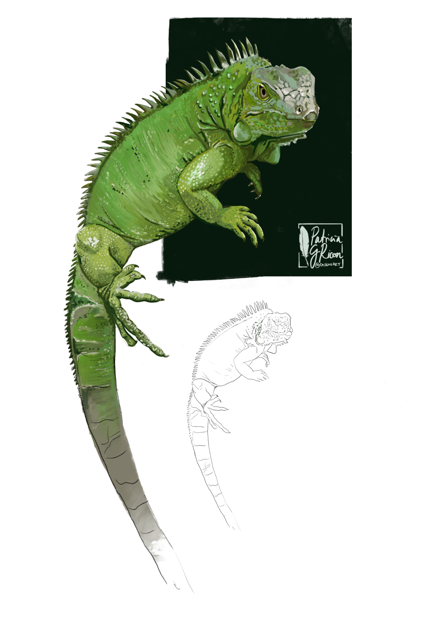 ArtStation - Iguana