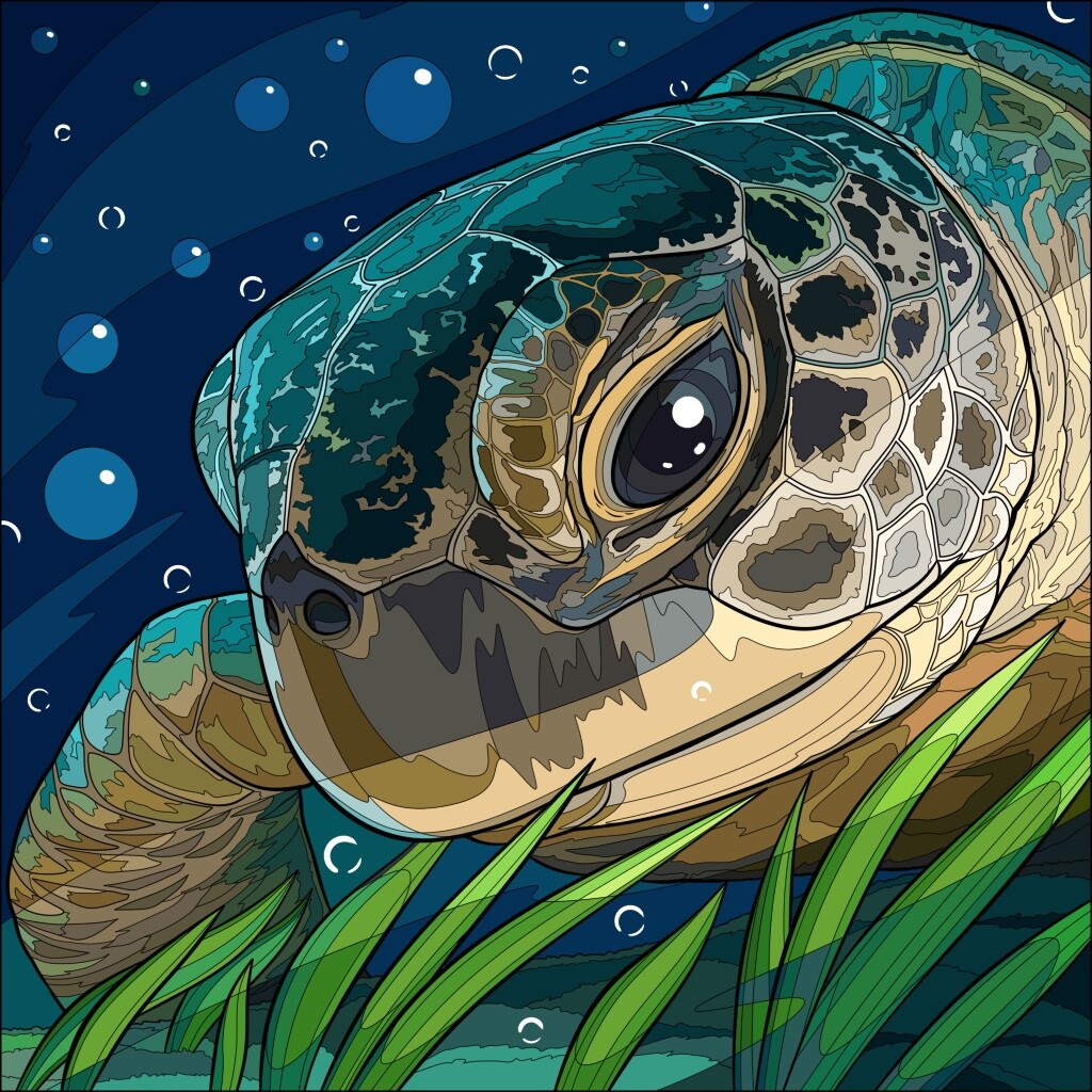 ArtStation - Tortoise