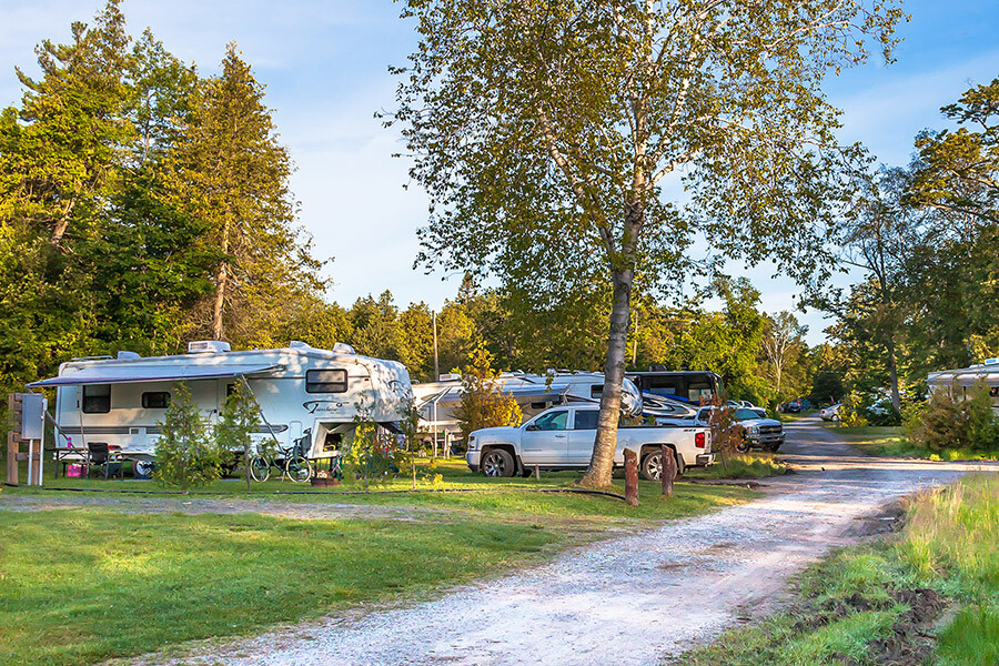 ArtStation - Tasman Holiday Park | Enjoy the Picton Campgrounds