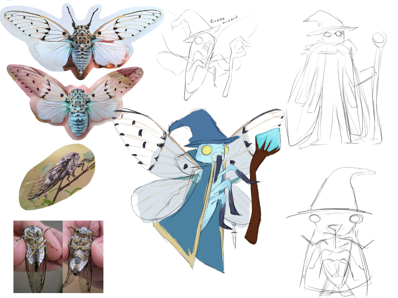 ArtStation - Bug character concept Sketches