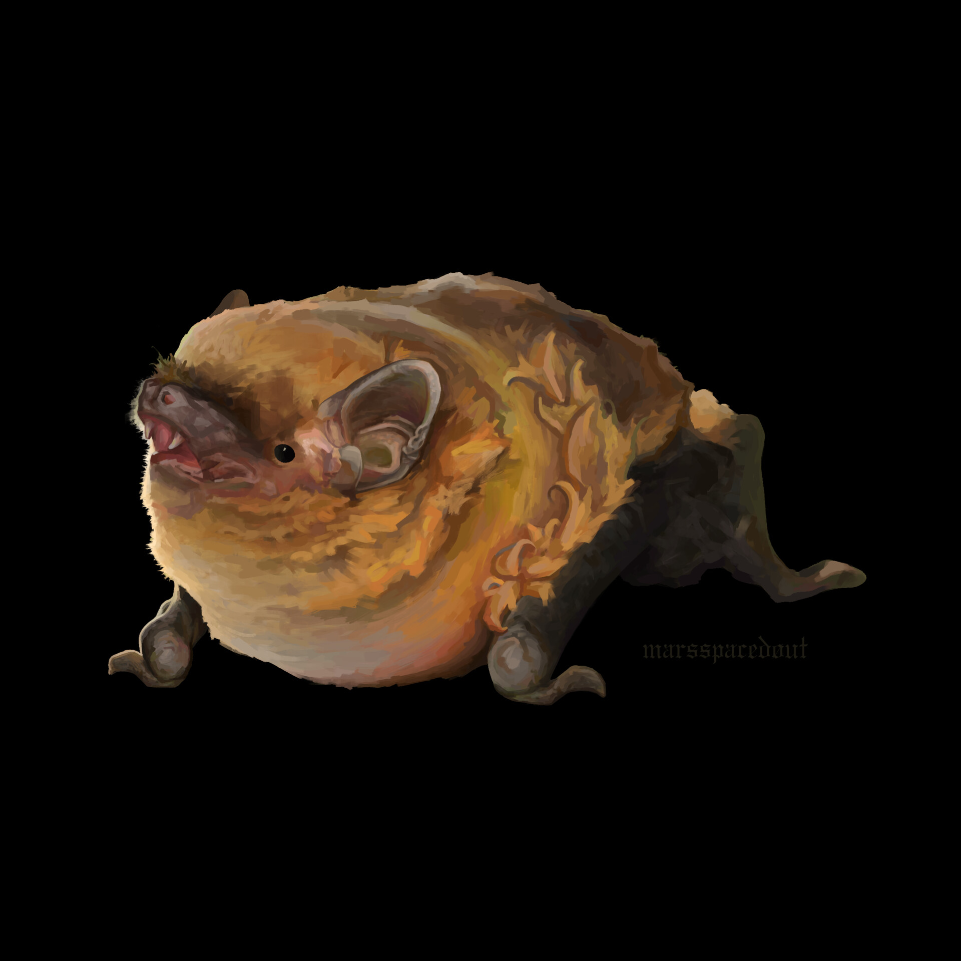 ArtStation - Bat study