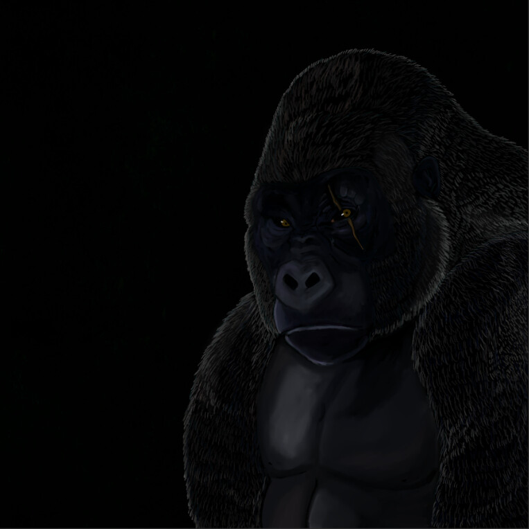 ArtStation - Gorilla