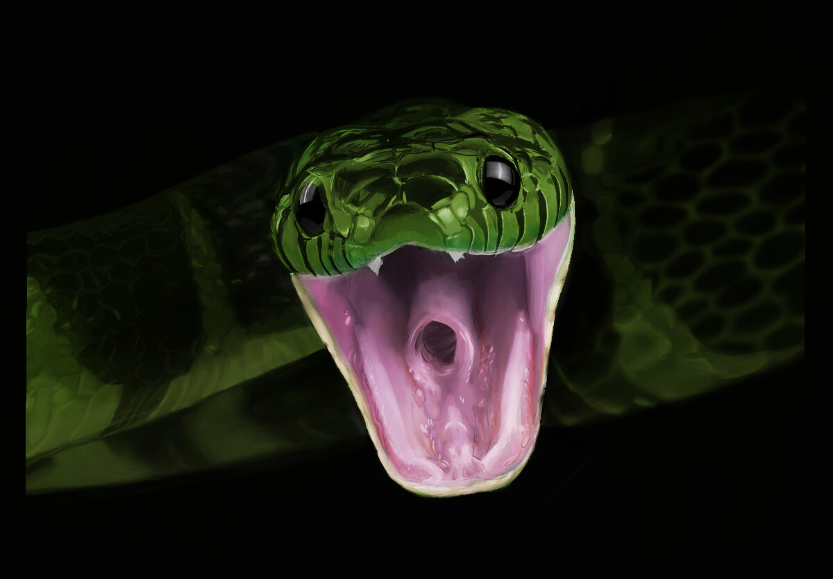 Warren Anderson - Digital Snake Study (30+ Hours)