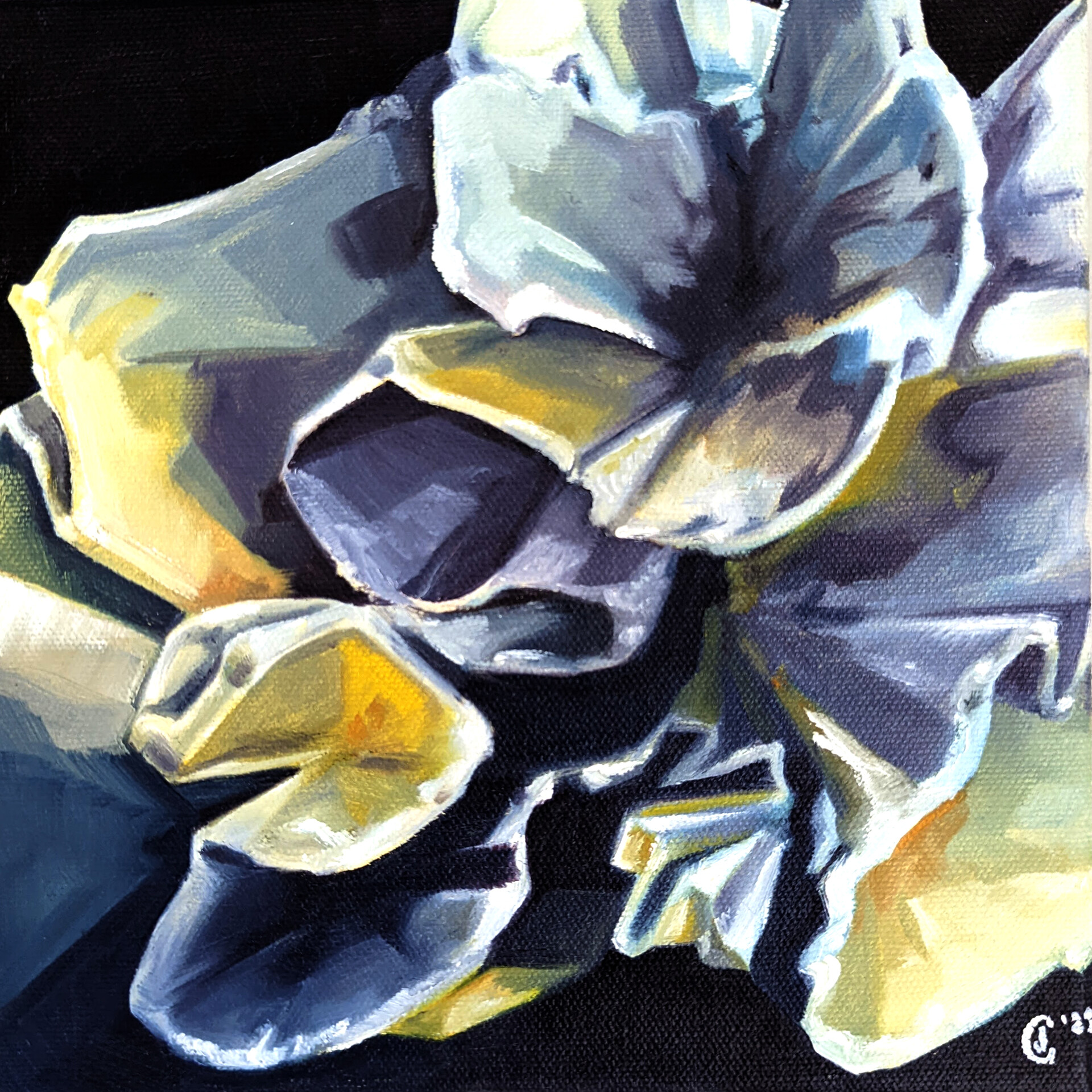 Jess Craig - Ice Cream Series