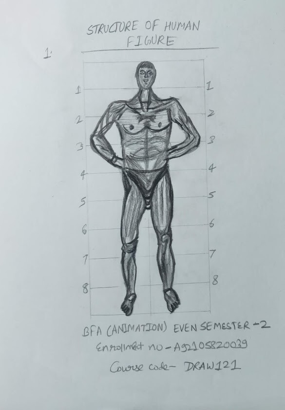 ArtStation - Anatomical drawing and sculpture