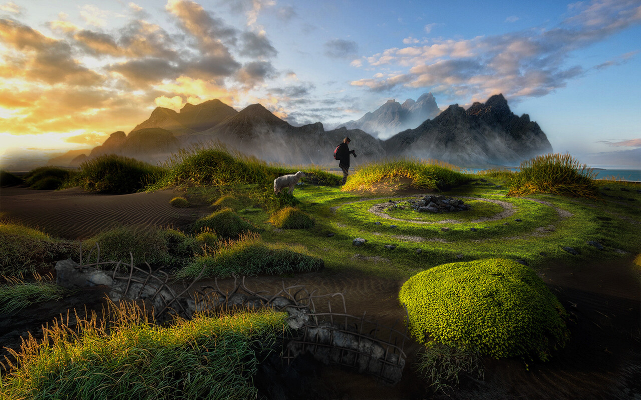 ArtStation - My Constant companion.