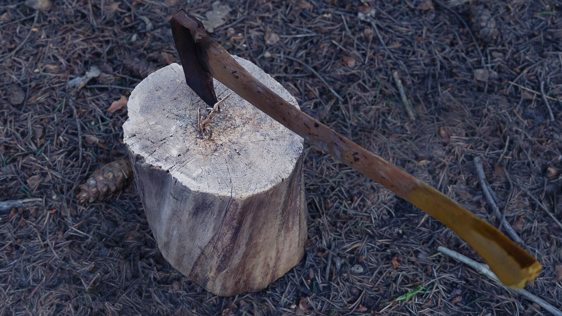ArtStation - 3D Scan Old Wood Splitting Log
