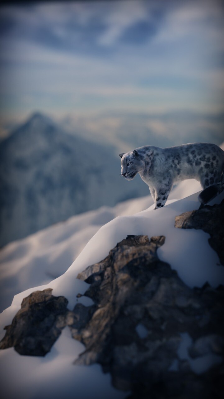 ArtStation - Stylized scene with Snow Leopard