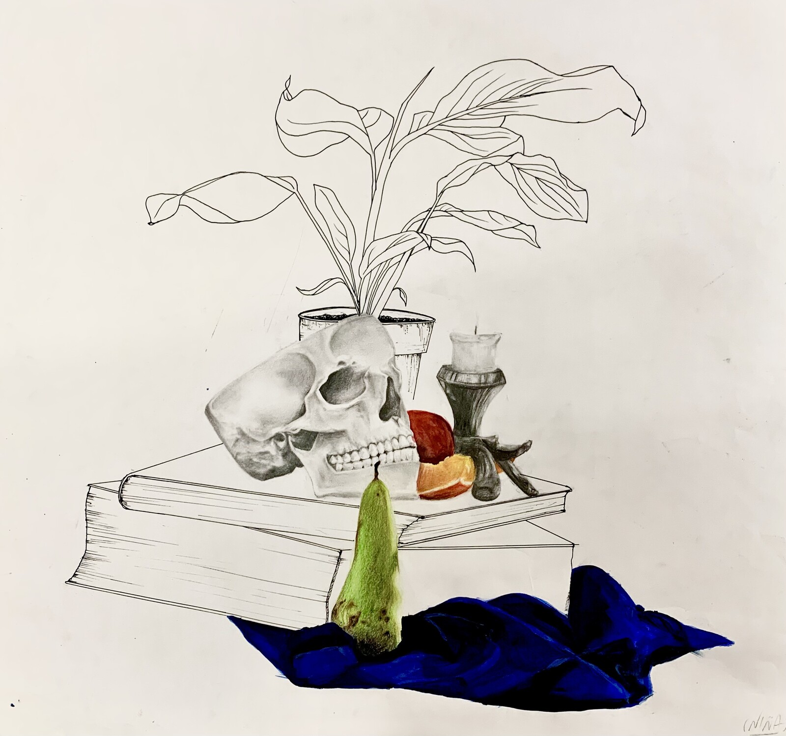 Nina Hawkshaw - Life and Death Still Life Study