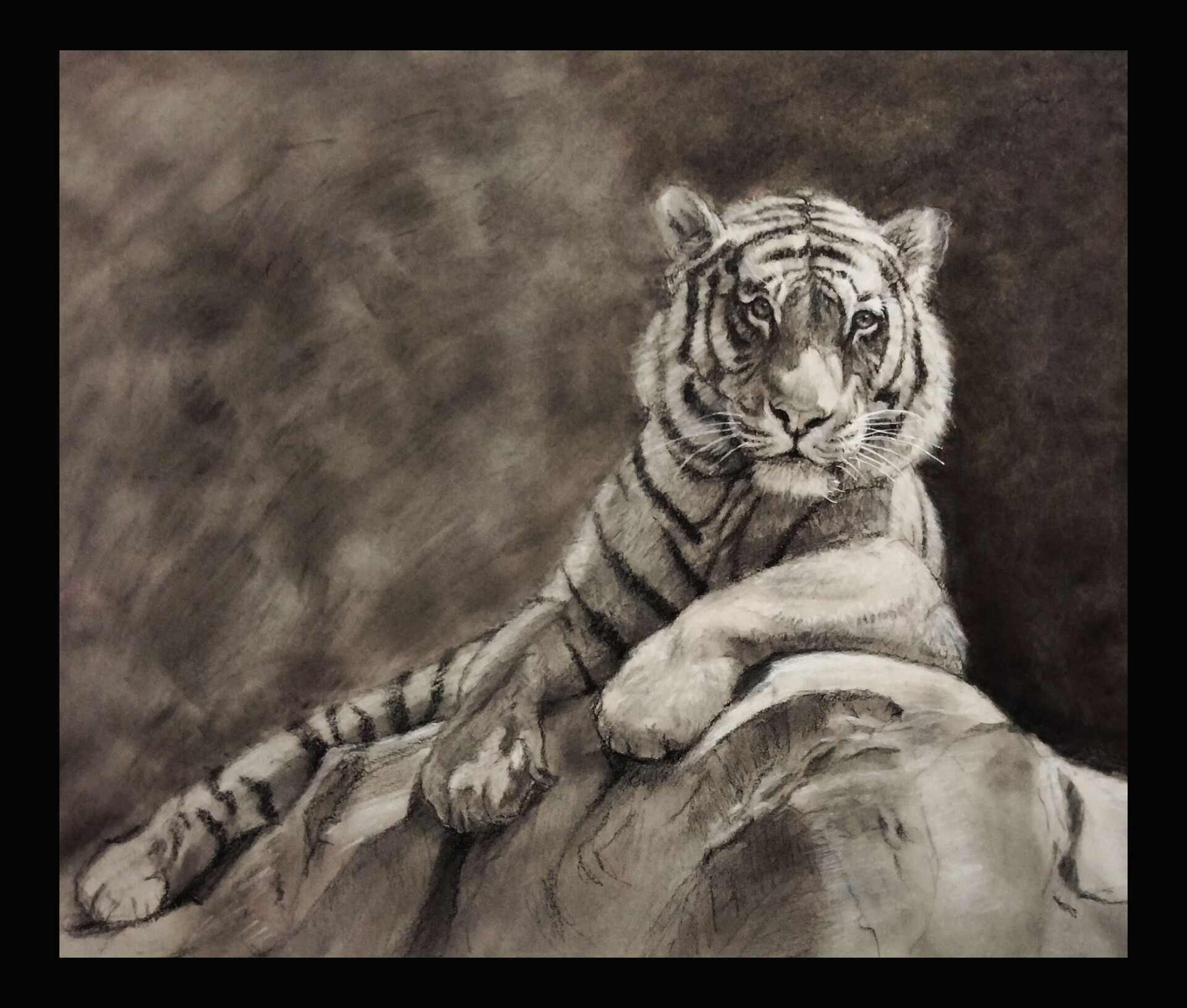 ArtStation - Tiger on Rock