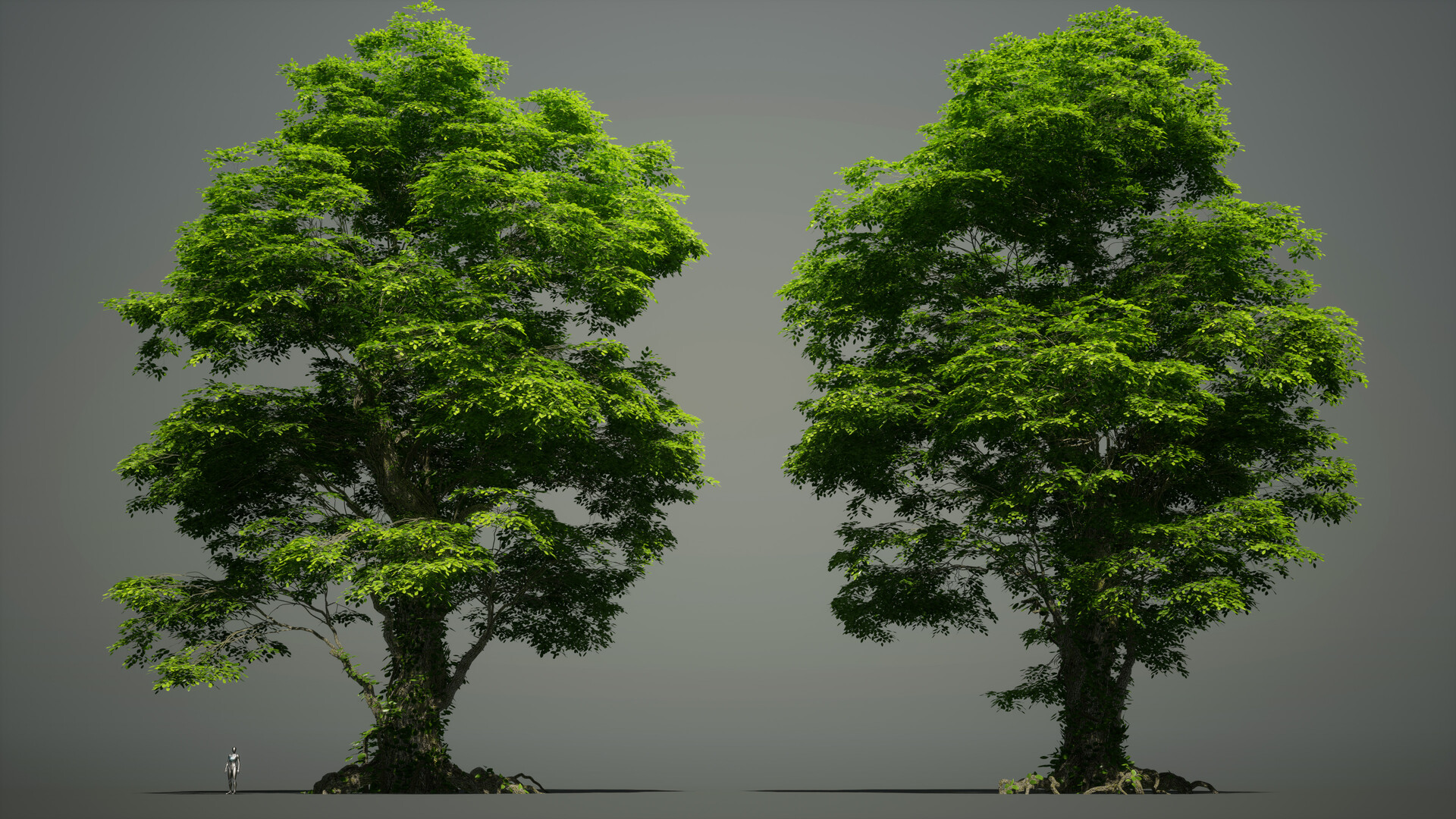 Bao Le - UE5 Tree test