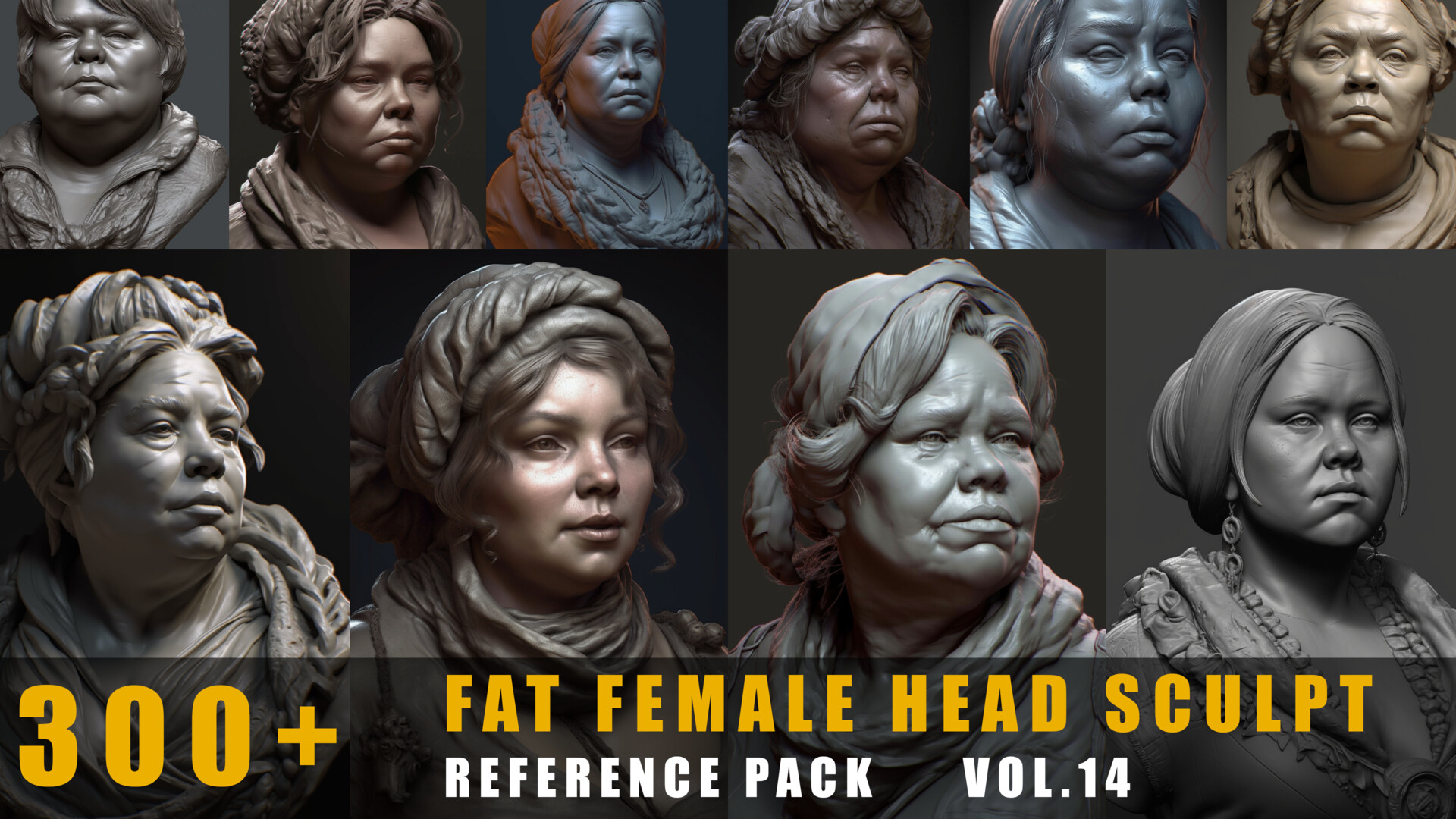 WaterLaw's Studio - 300+ Fat Female Head Sculpt - References Pack Vol.14