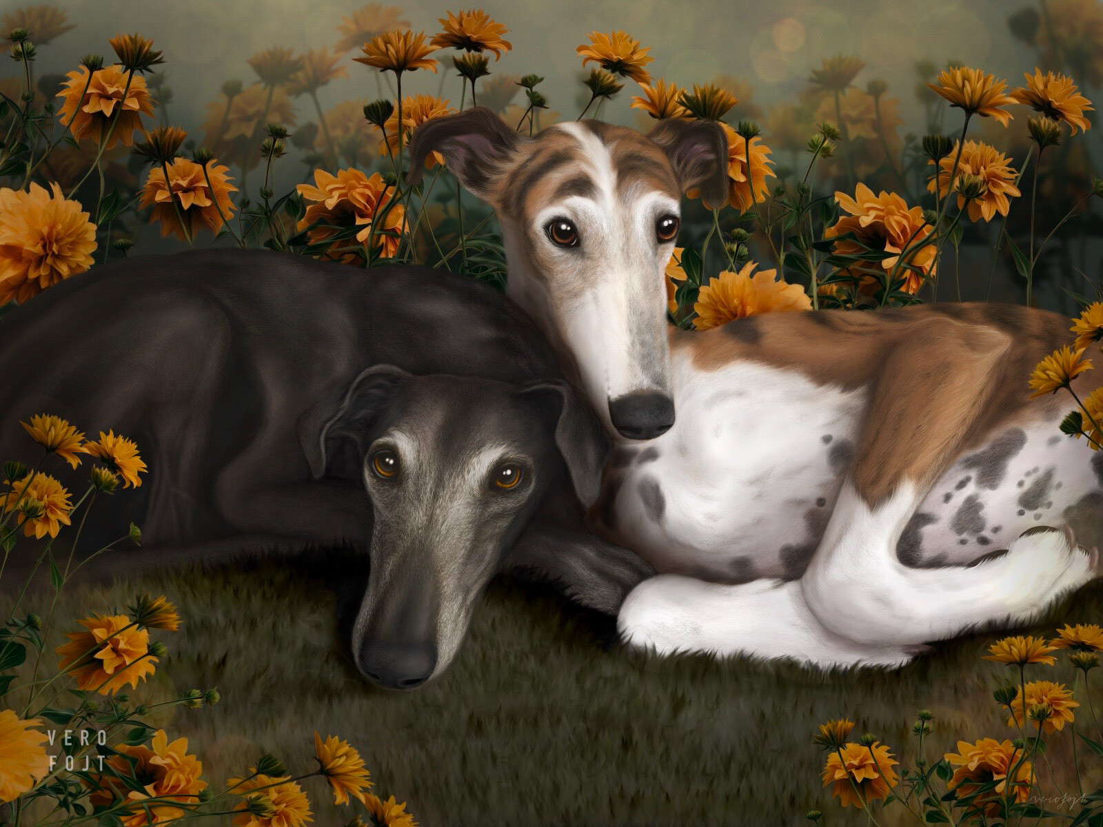 ArtStation - Two Galgos