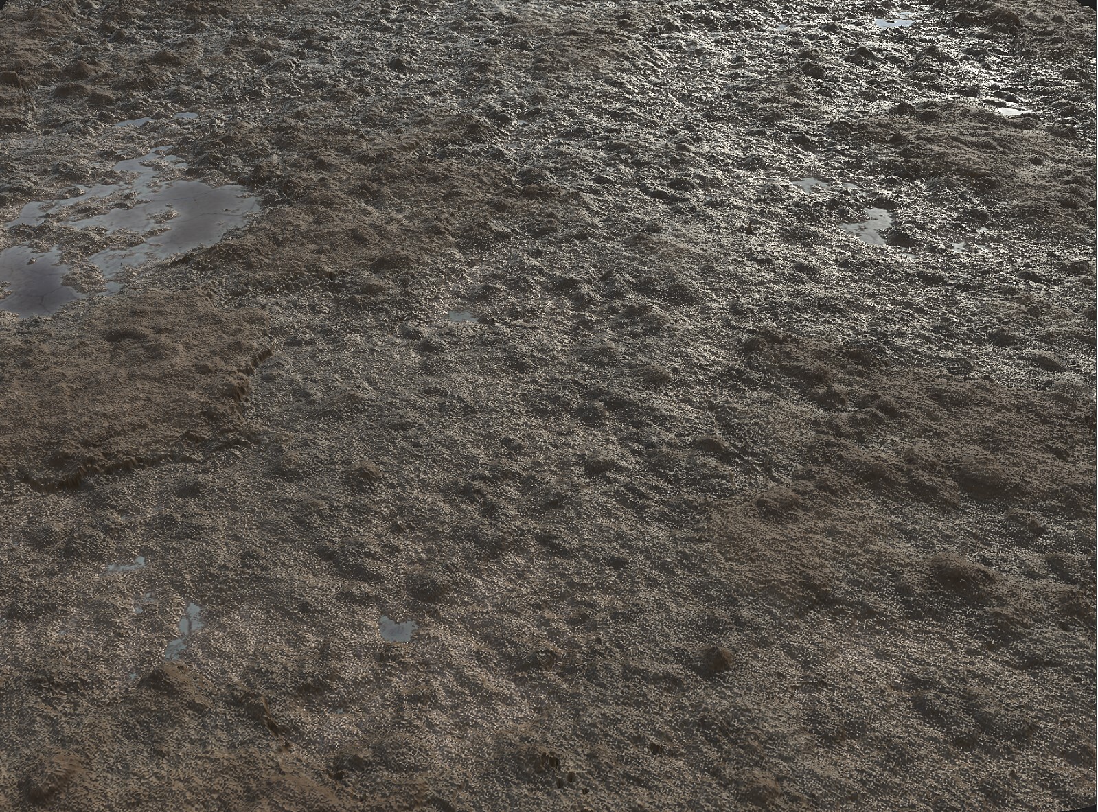 ArtStation - [Substace Designer]Wet Ground