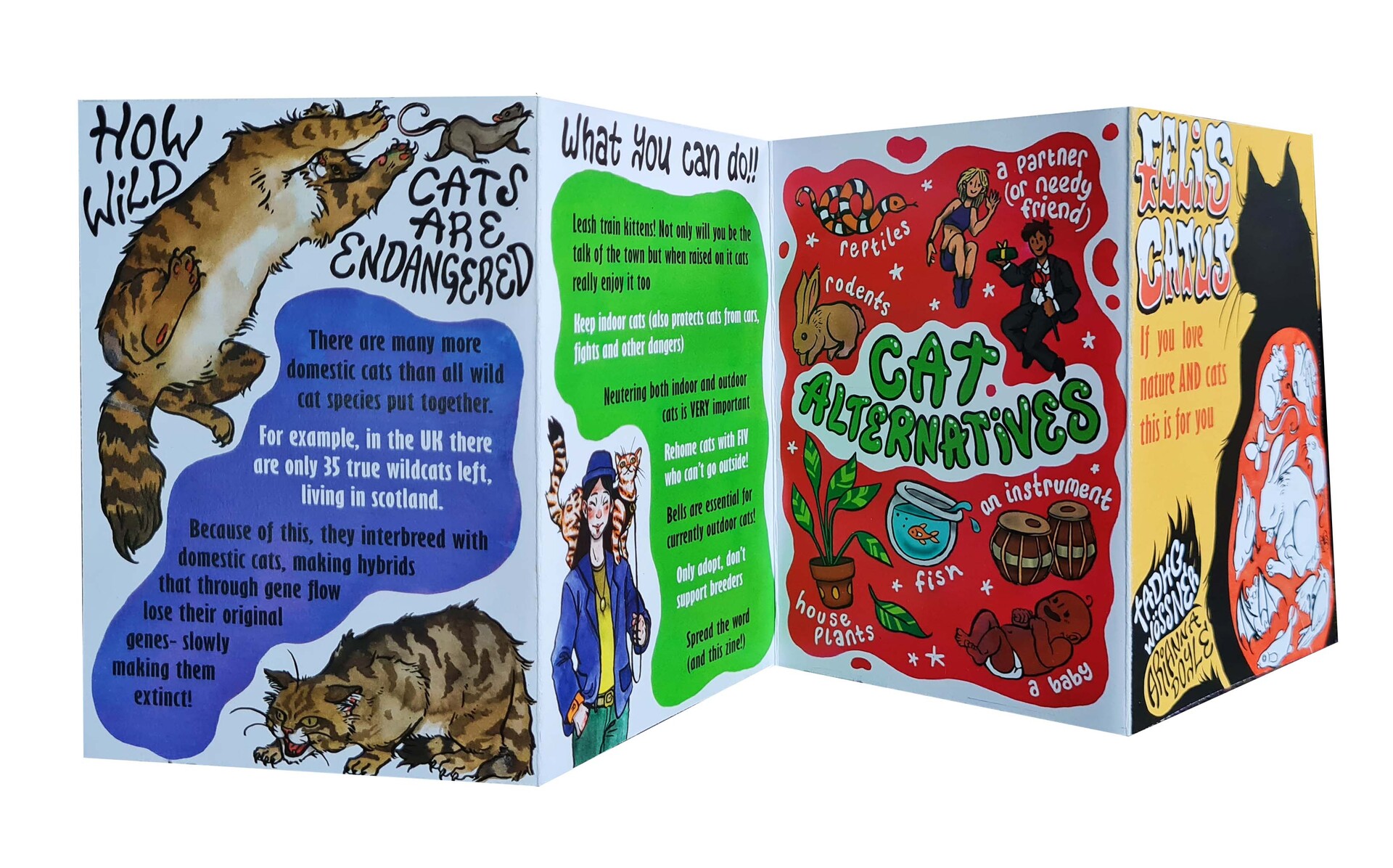 ᗩᖇiᗩᑎᑎᗩ ᗪOYᒪE - Cat Zine Collaboration