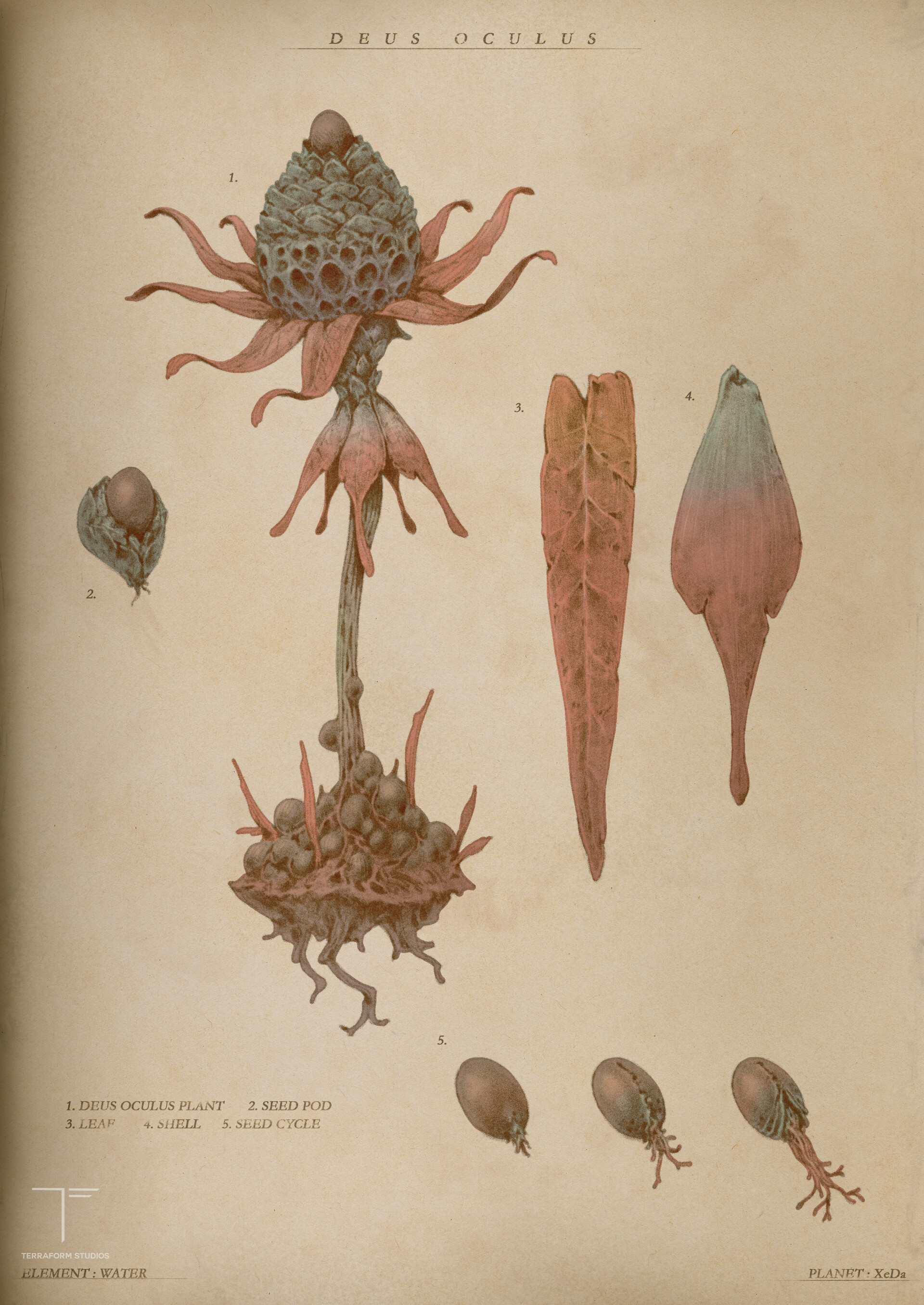 ArtStation - Alien Flora