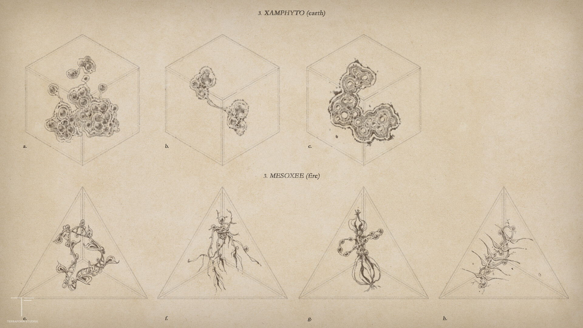 Terraform Studios - Alien Flora