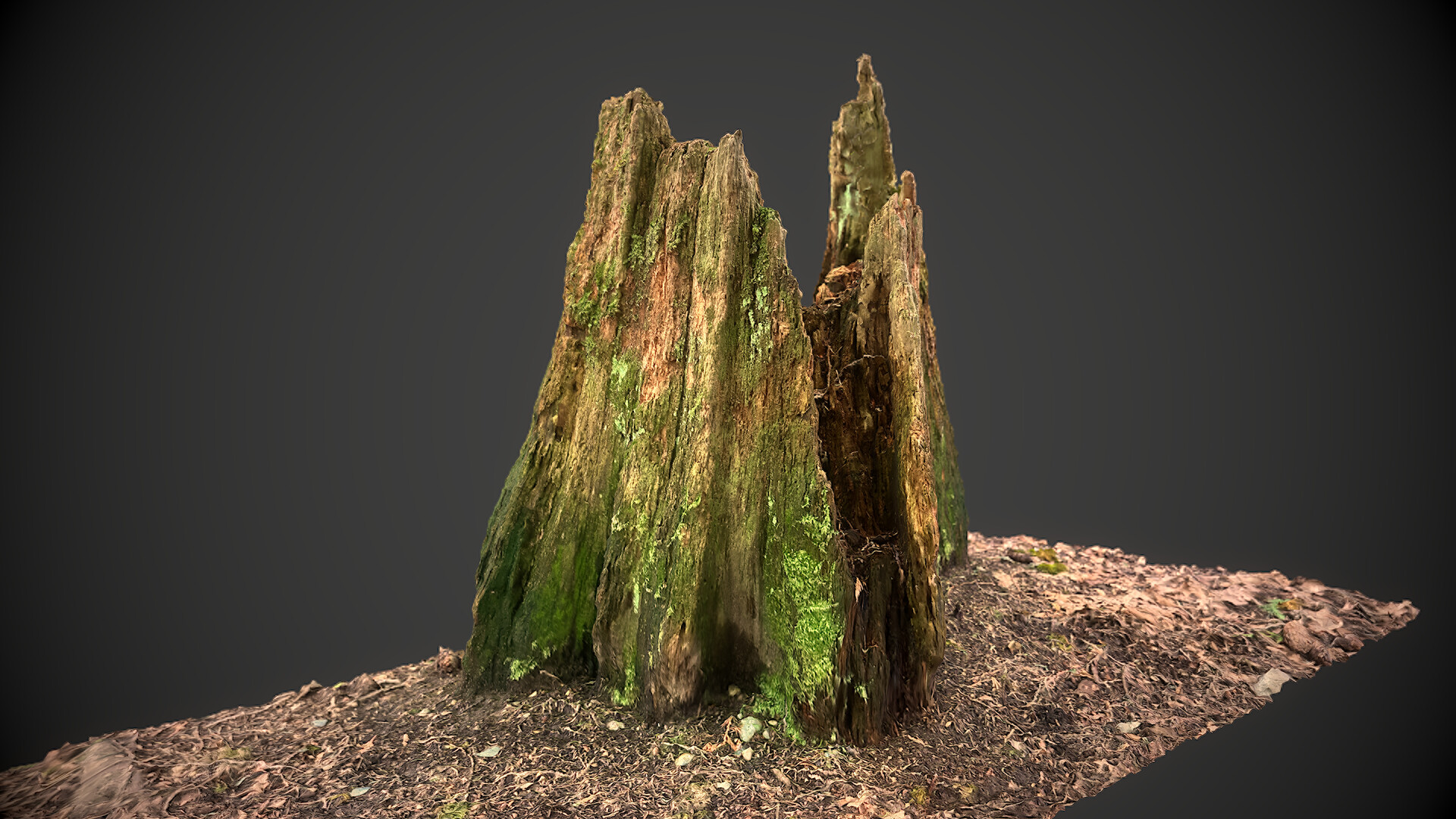 ArtStation - Tree Stump (Photogrammetry) Study