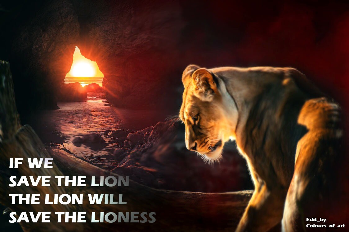 ArtStation - save Lions