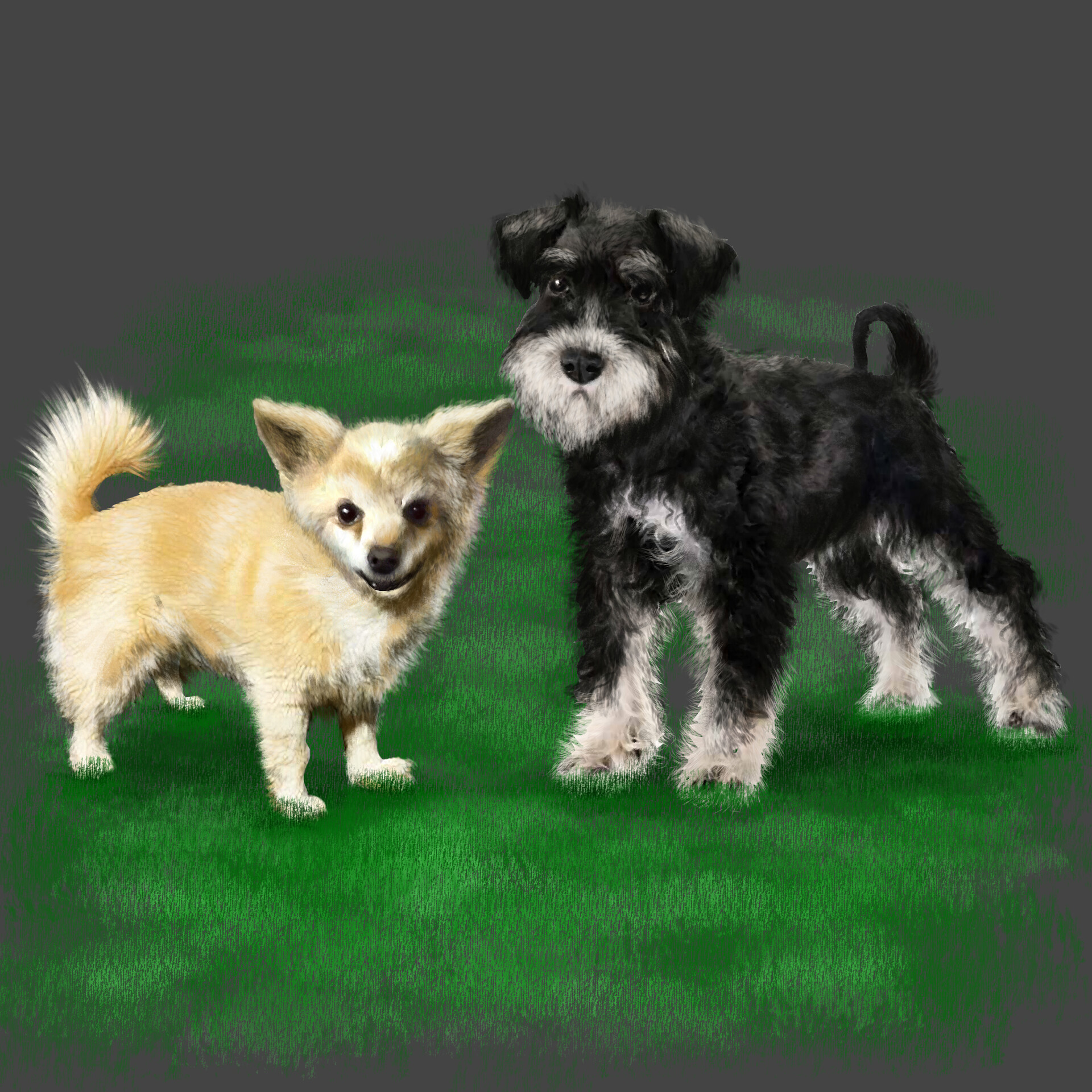 ArtStation - Pet portrait