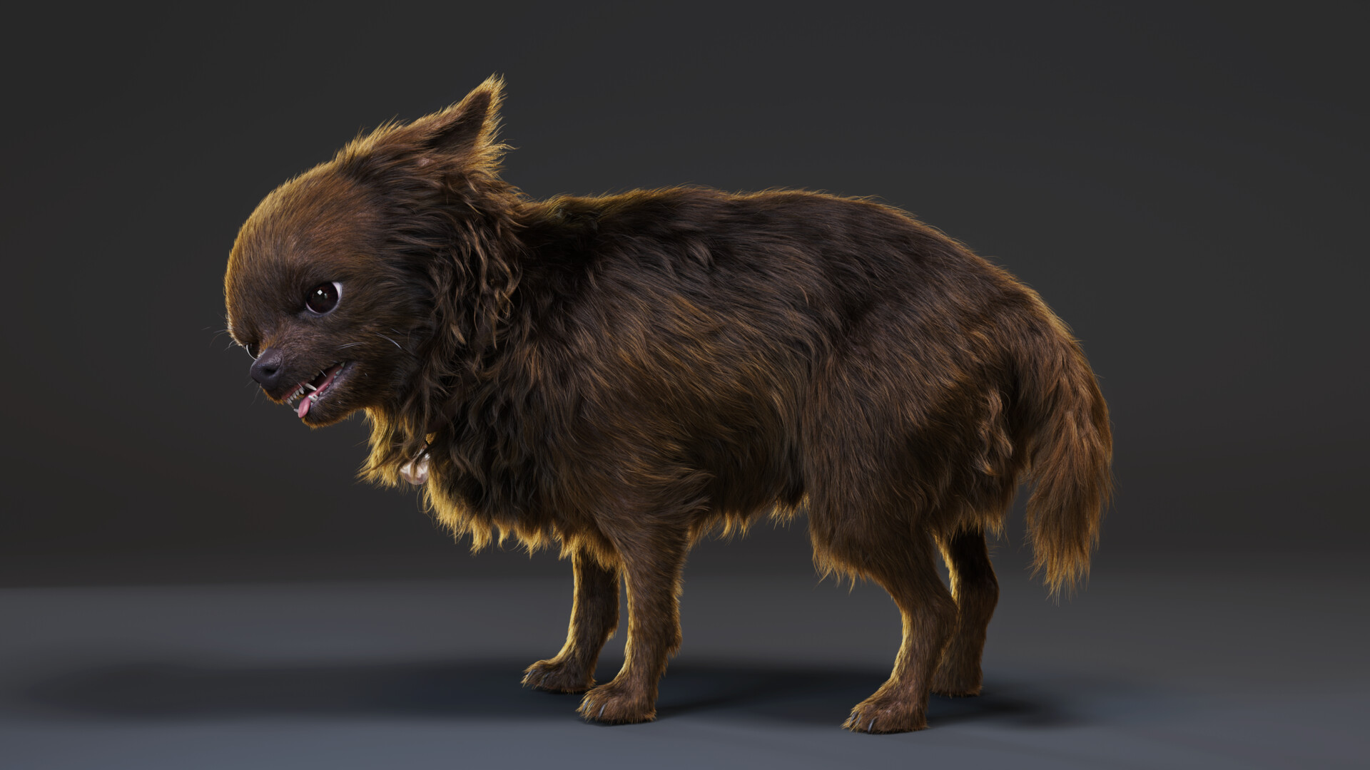 ArtStation - Chihuahua | Psina Sutulaya