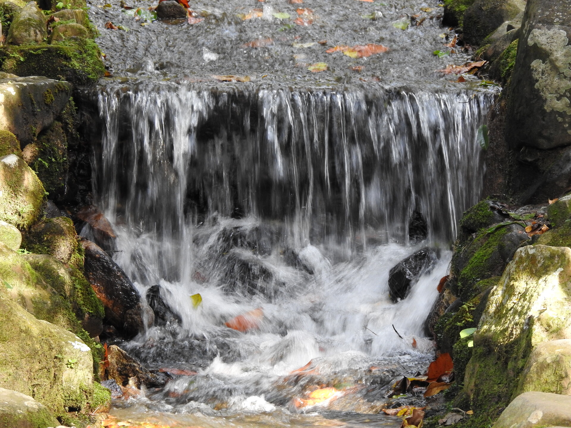 ArtStation - Small waterfall at Rio de Janeiro Botanic Garden.