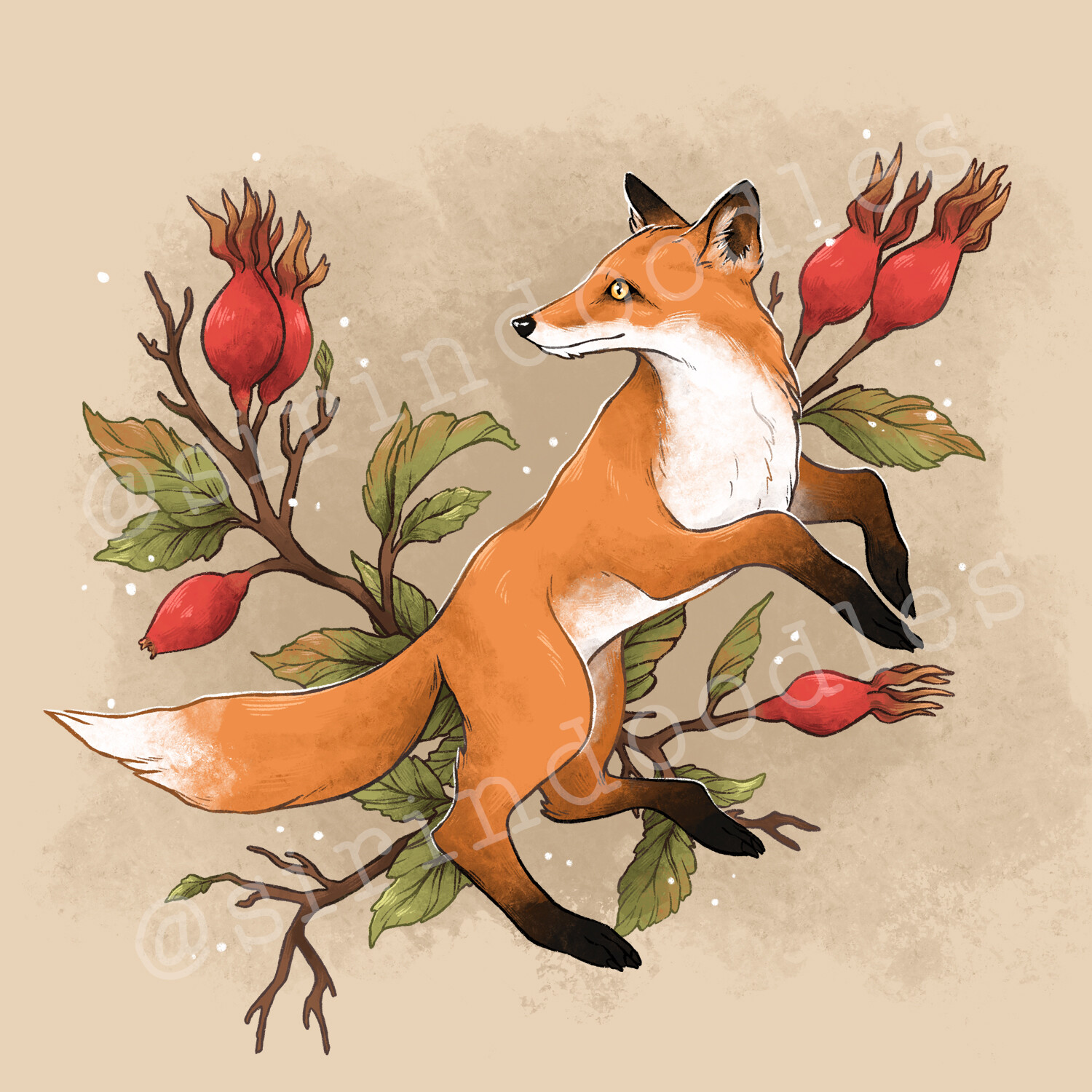 Sirin Doodles - Fox - Cozy Autumn sticker and game illustration