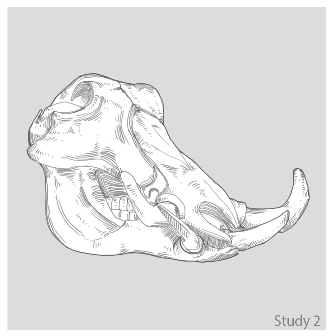 ArtStation - study 2