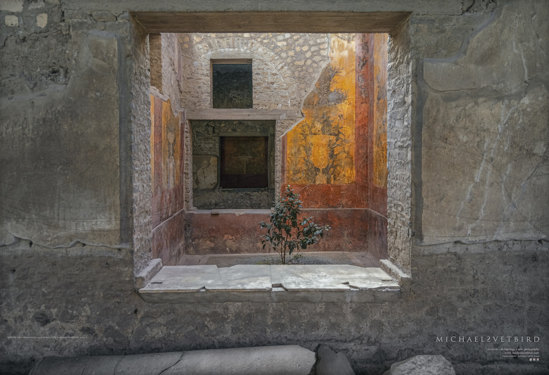 ArtStation - VILLA POPPAEA Viridarium Area Rooms, Detail, II.