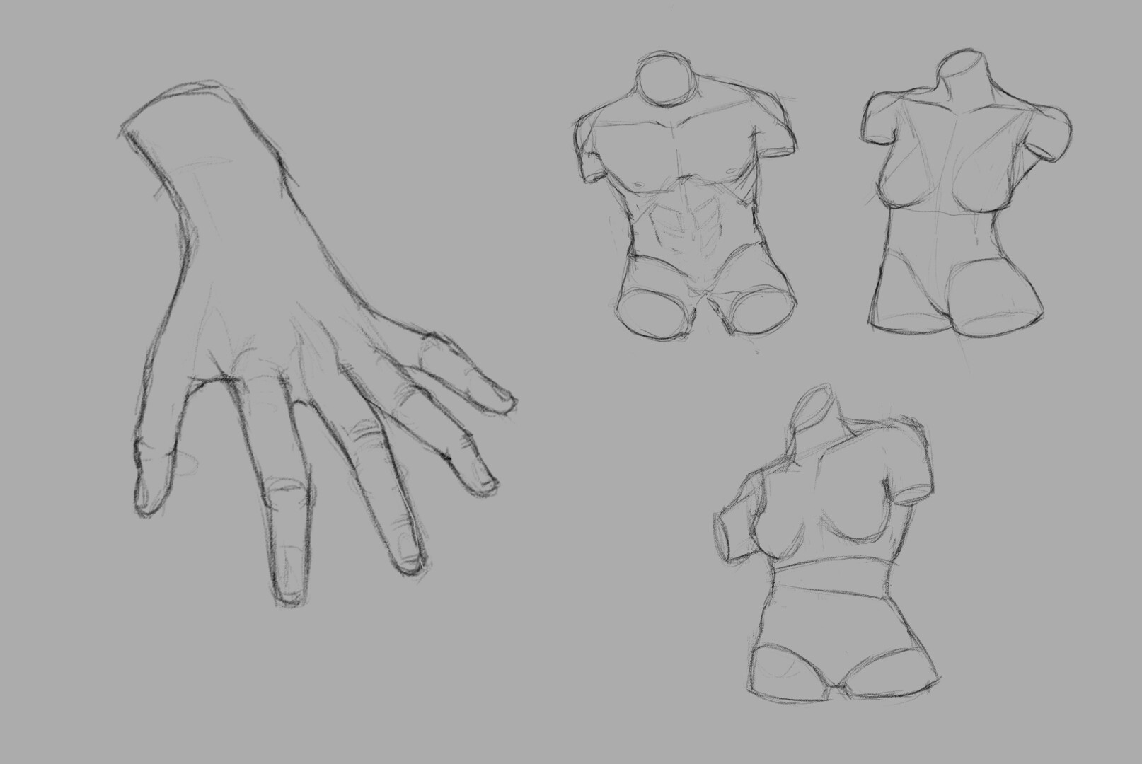 ArtStation - ANATOMY EXERCISES