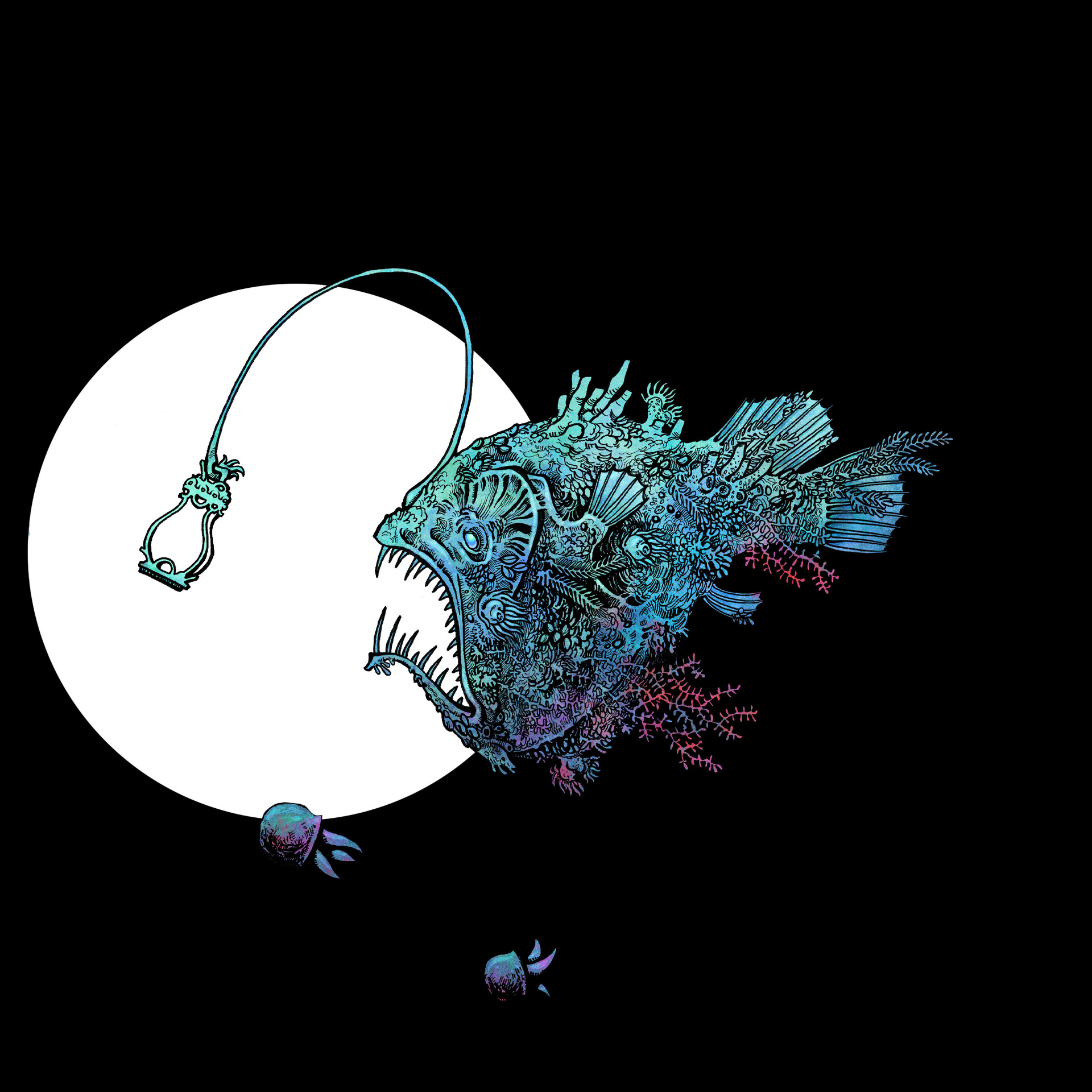 ArtStation - Baudroie