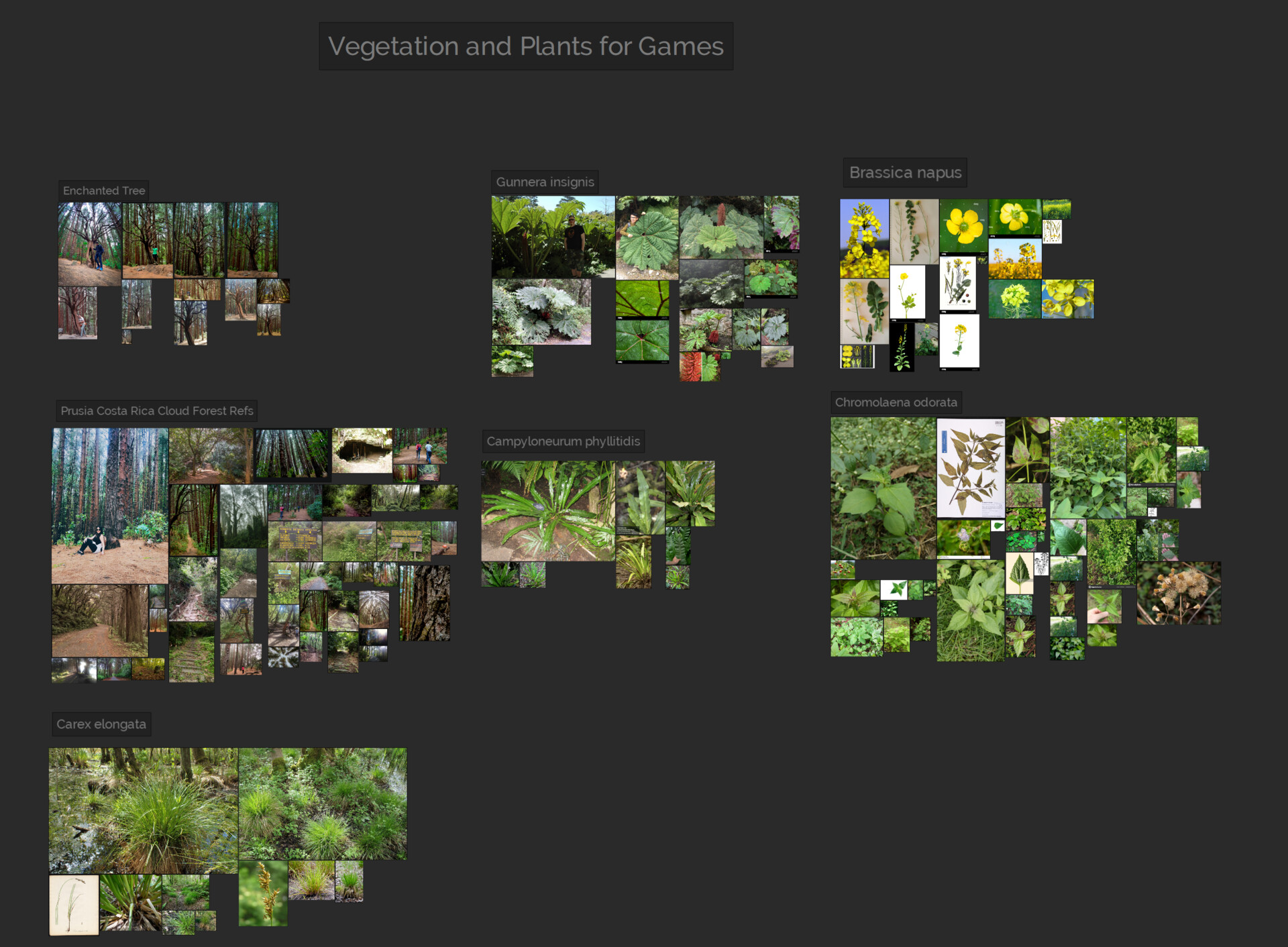 William Mata - Vegetation and Plants - CGMA