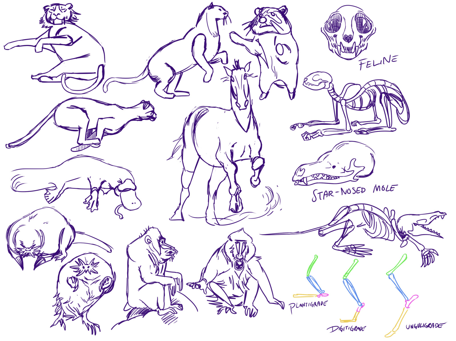 Kendrew Groff - the MOM moles - Digital Character Drawing