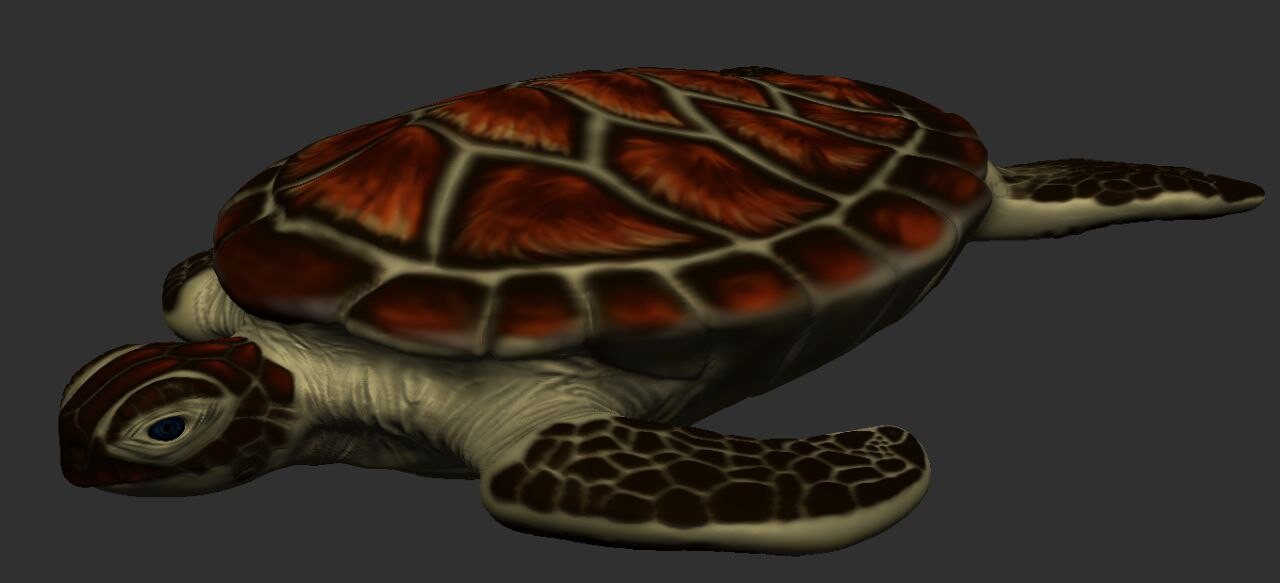 ArtStation - Turtle Sculpt