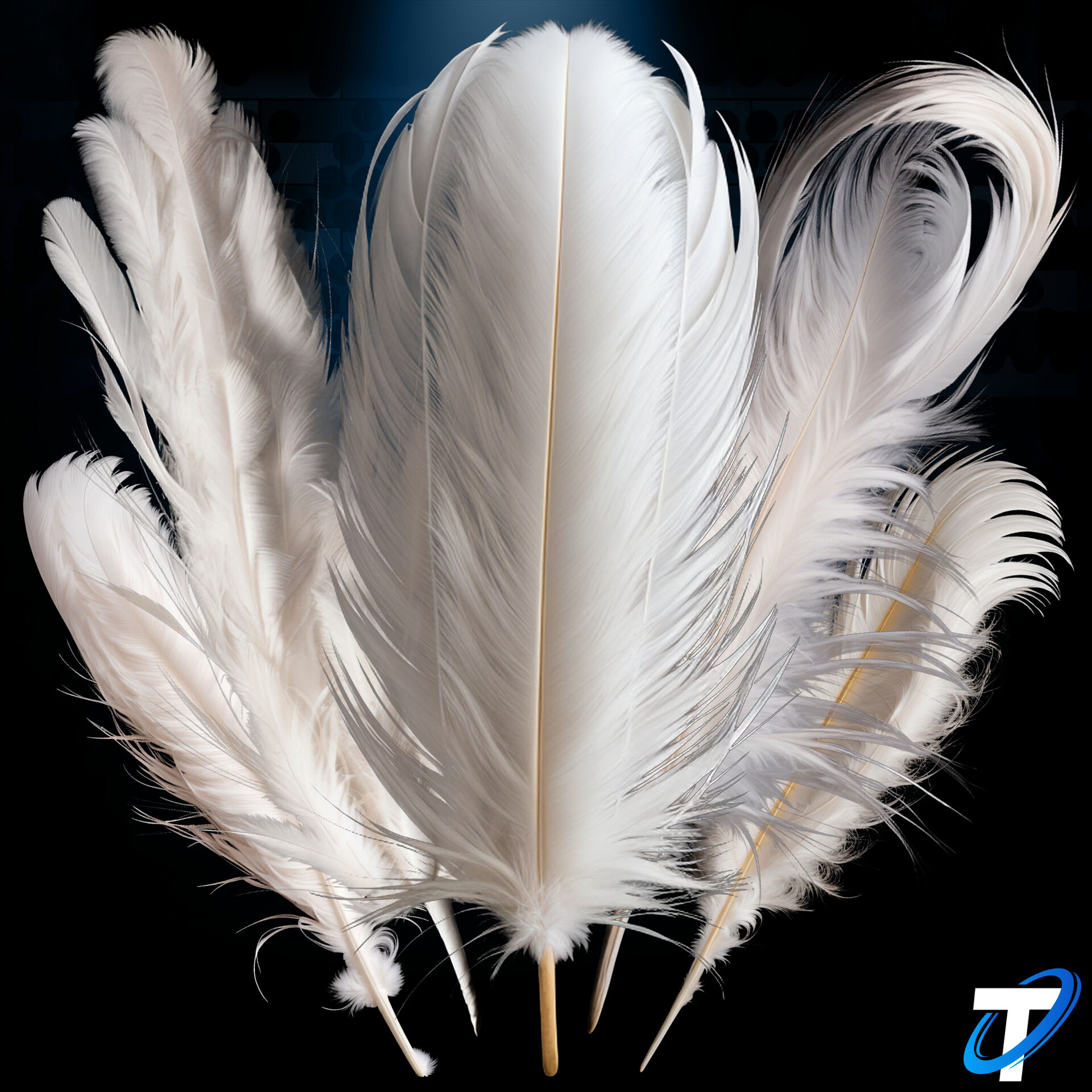 ArtStation - 50 Realistic Feather (MEGA Bundle) - Vol 1