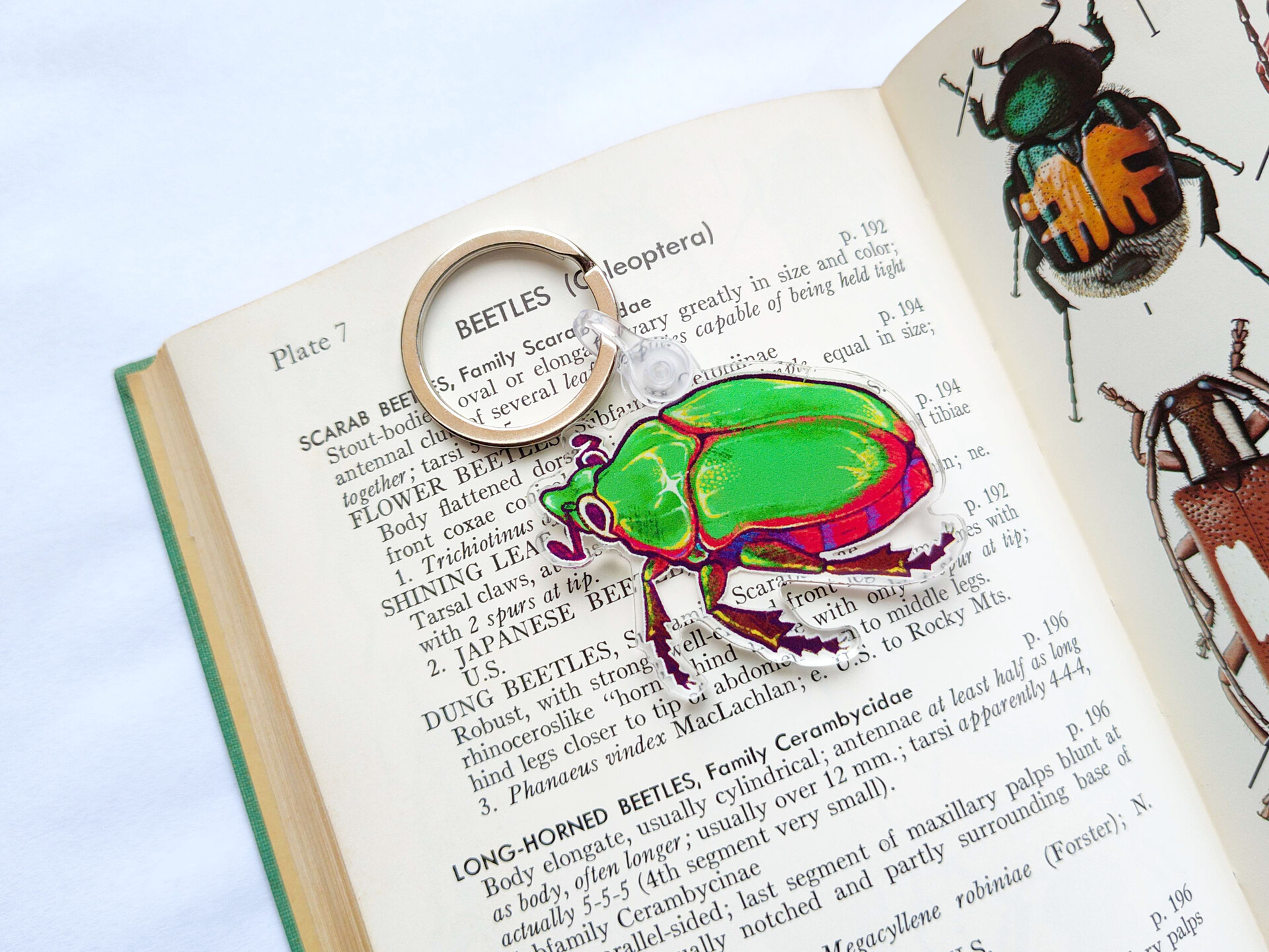 ArtStation - Green June Beetle Acrylic Keychain