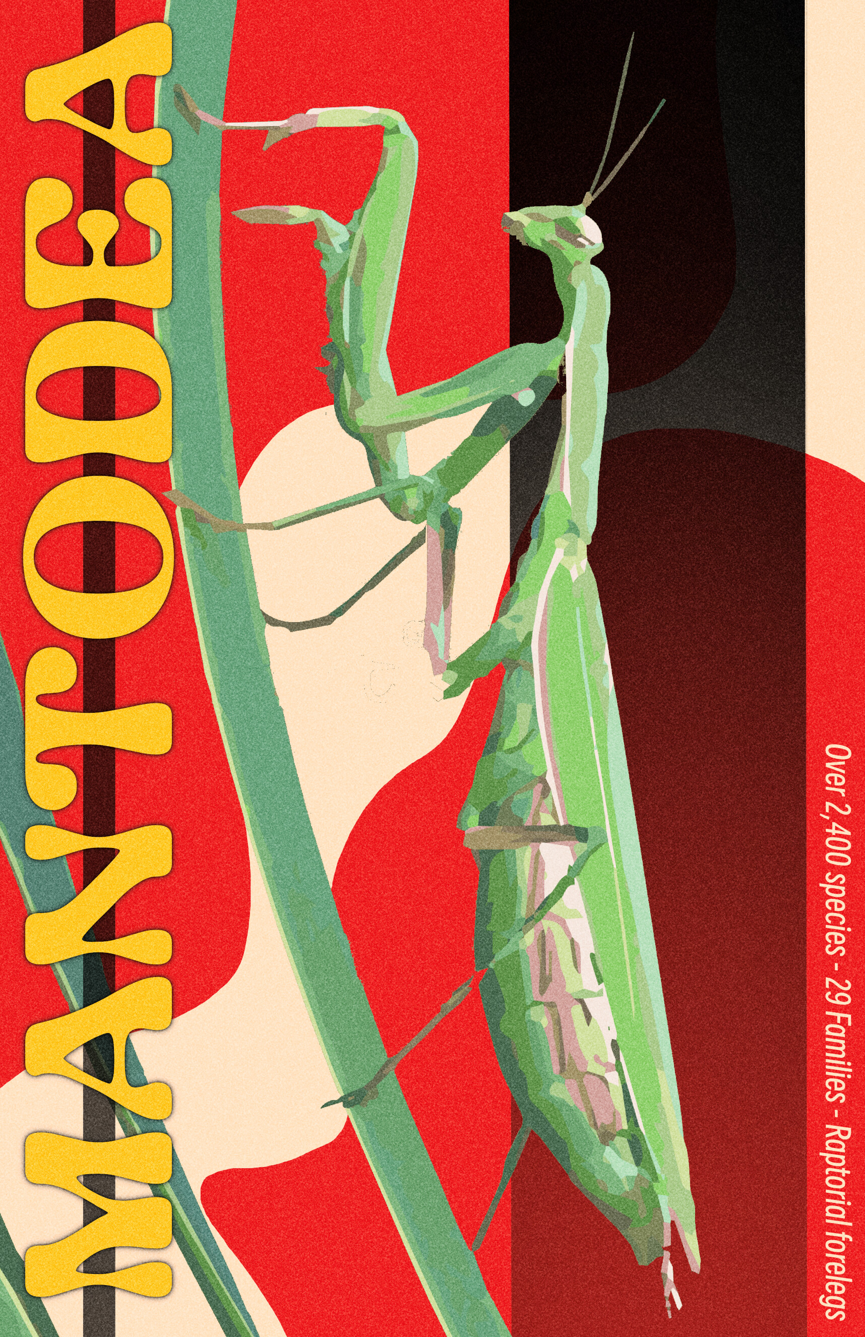 ArtStation - Mantodea Poster/Advertisement Design Experiement