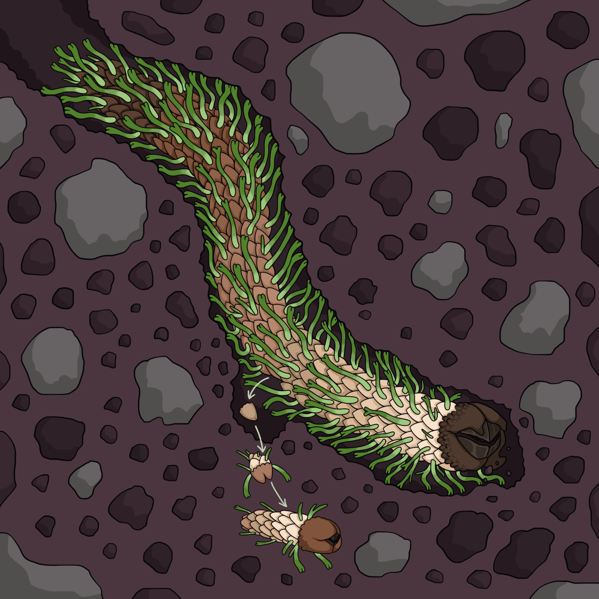 ArtStation - Burrowing Creature Design [Commission]