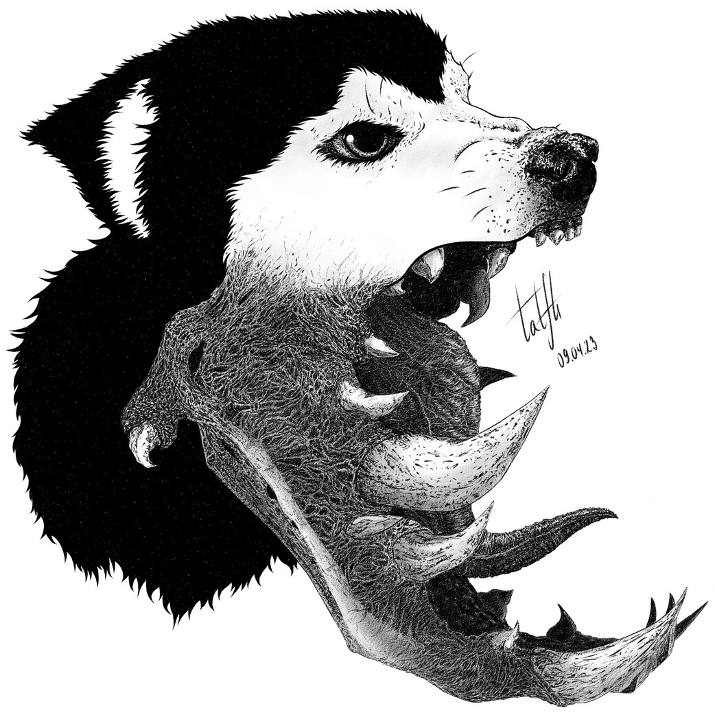 ArtStation - Husky