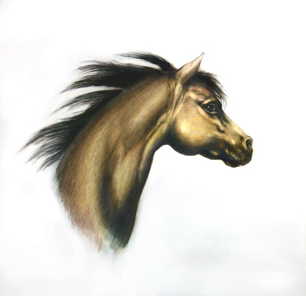 ArtStation - Traditional art