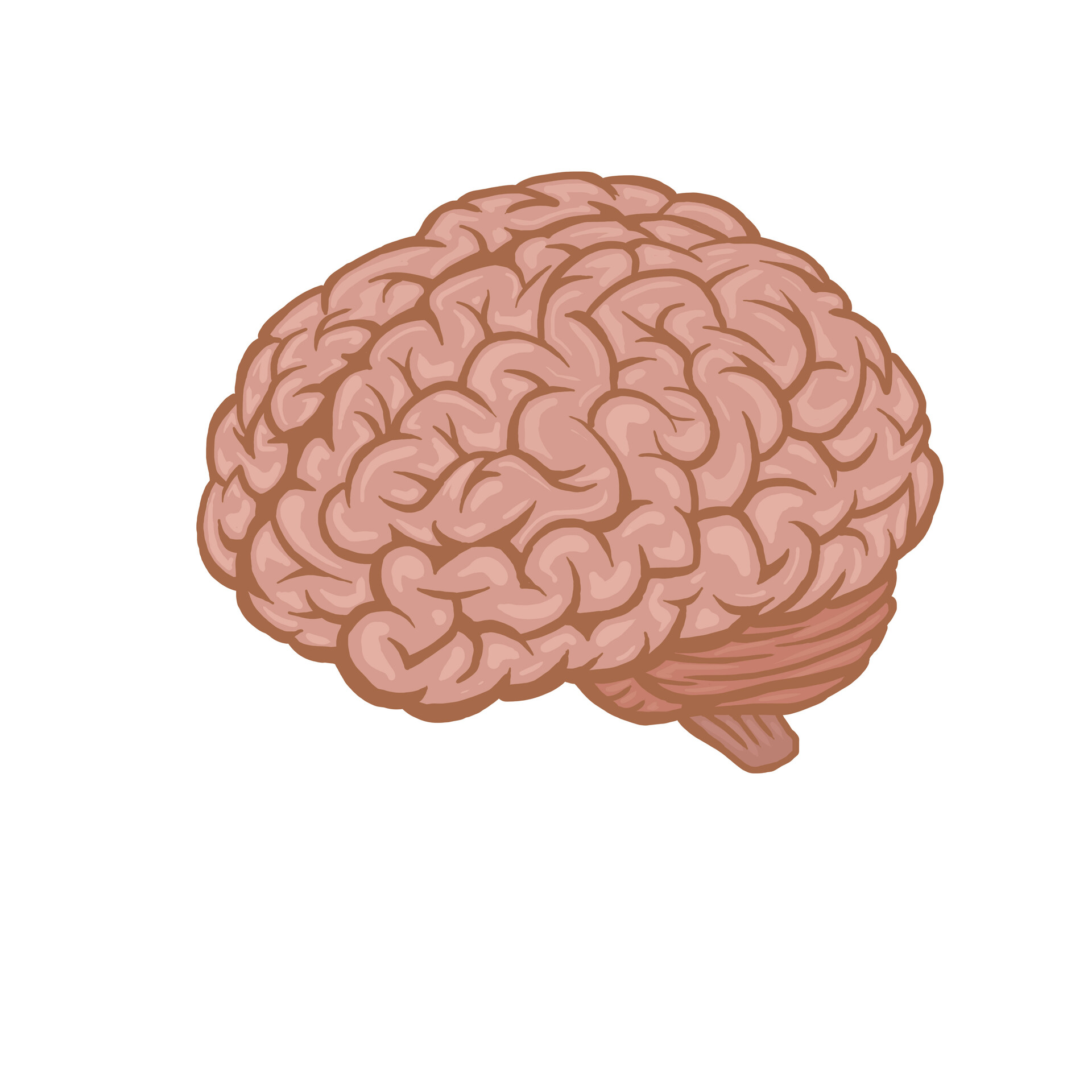 ArtStation - Brain asset