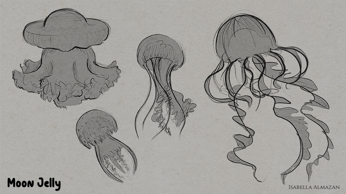 how to draw a moon jelly