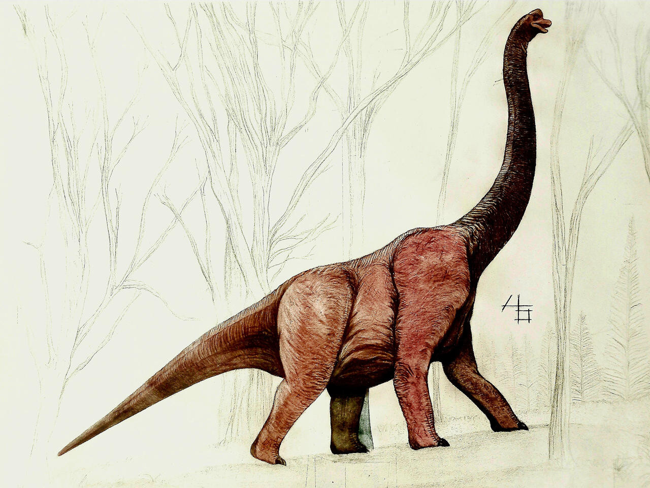 Emil Hernandez - Brachiosaurus altithorax - BRAKY / Jurassic Park (1993)