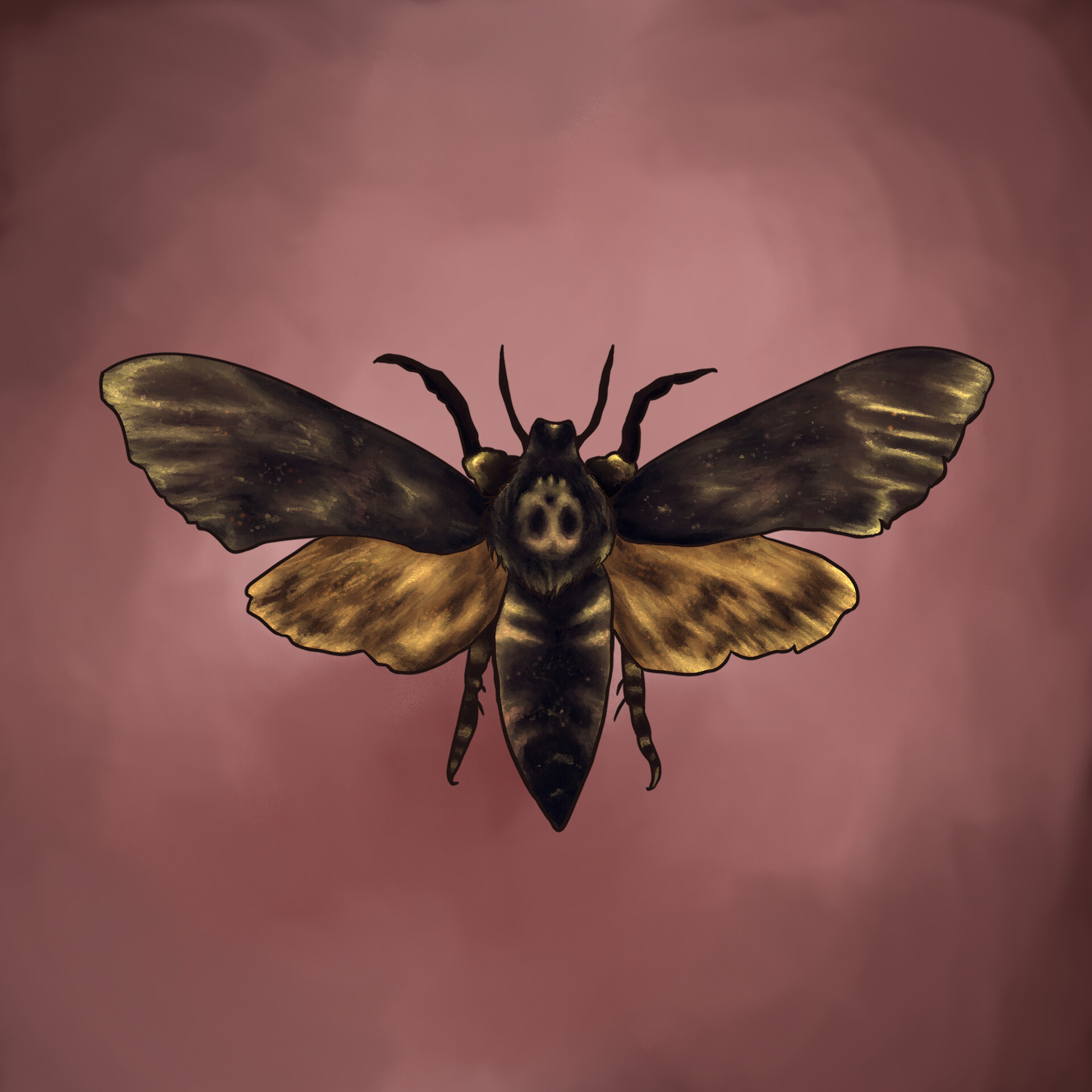 ArtStation - Death Moth
