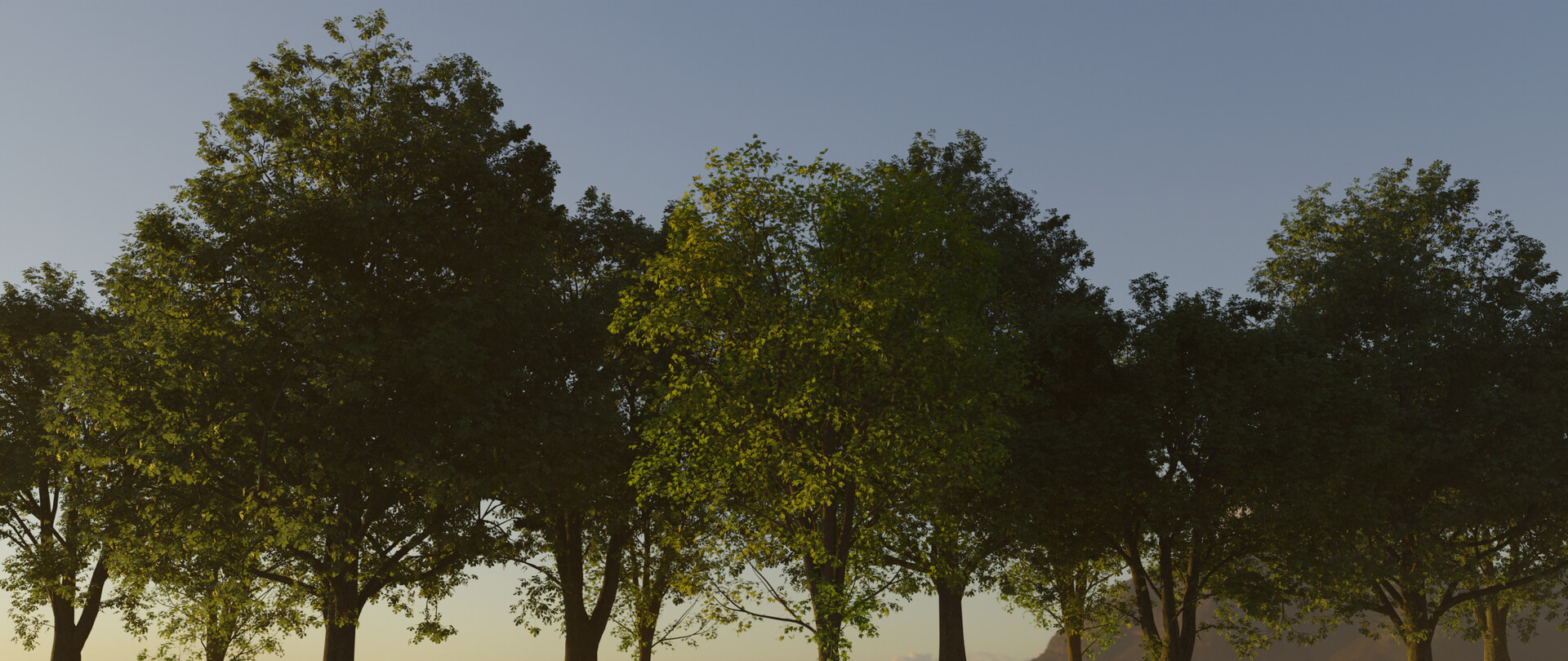 Isaak Bing - Technical Practice - Trees